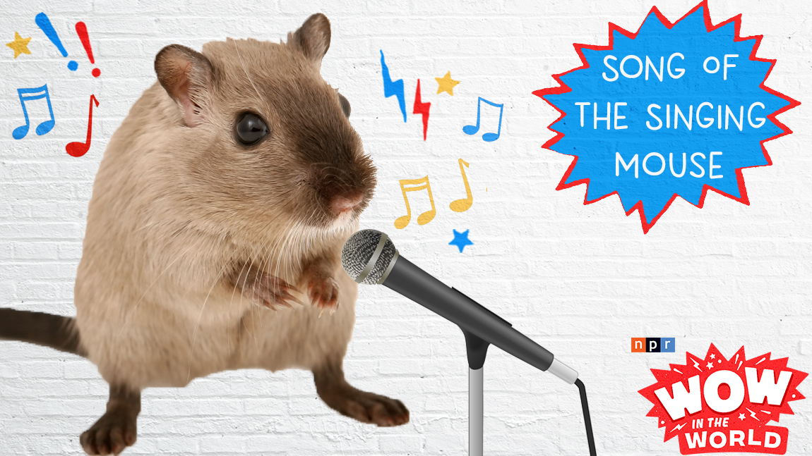 Song Of The Singing Mouse : NPR