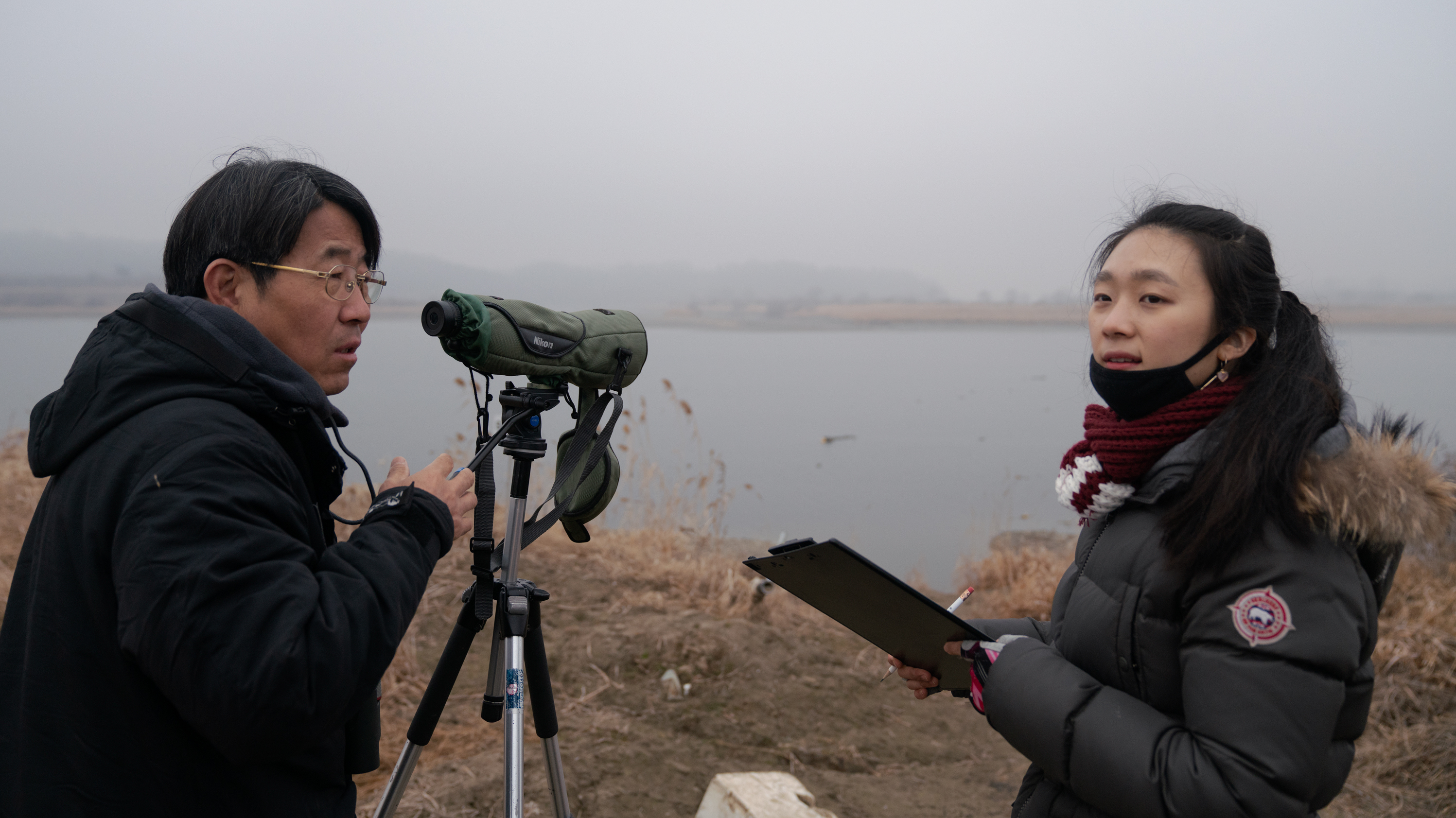 In Korean DMZ, Wildlife Thrives. Some Conservationists Worry Peace ...