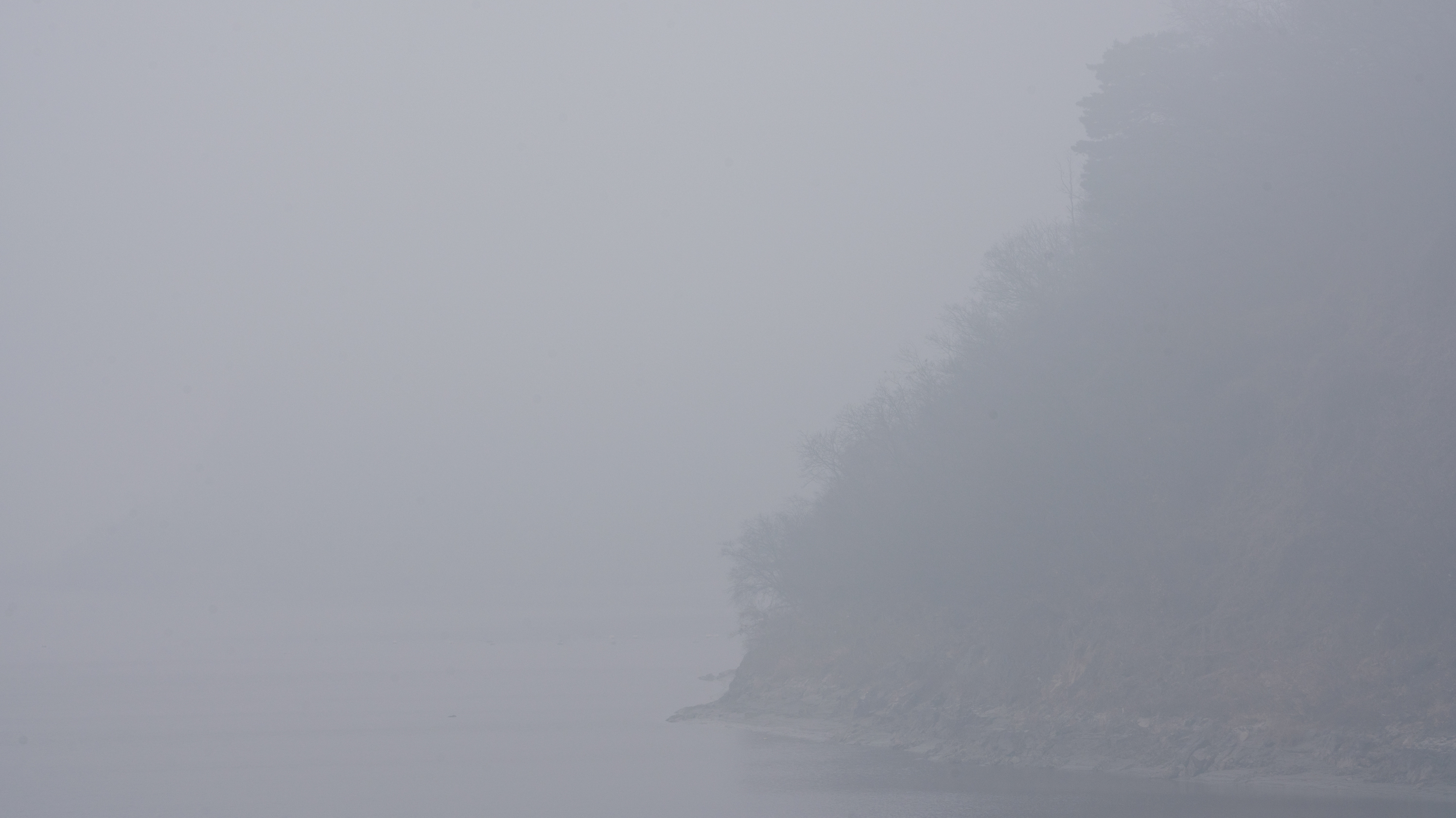 In Korean DMZ, Wildlife Thrives. Some Conservationists Worry Peace ...