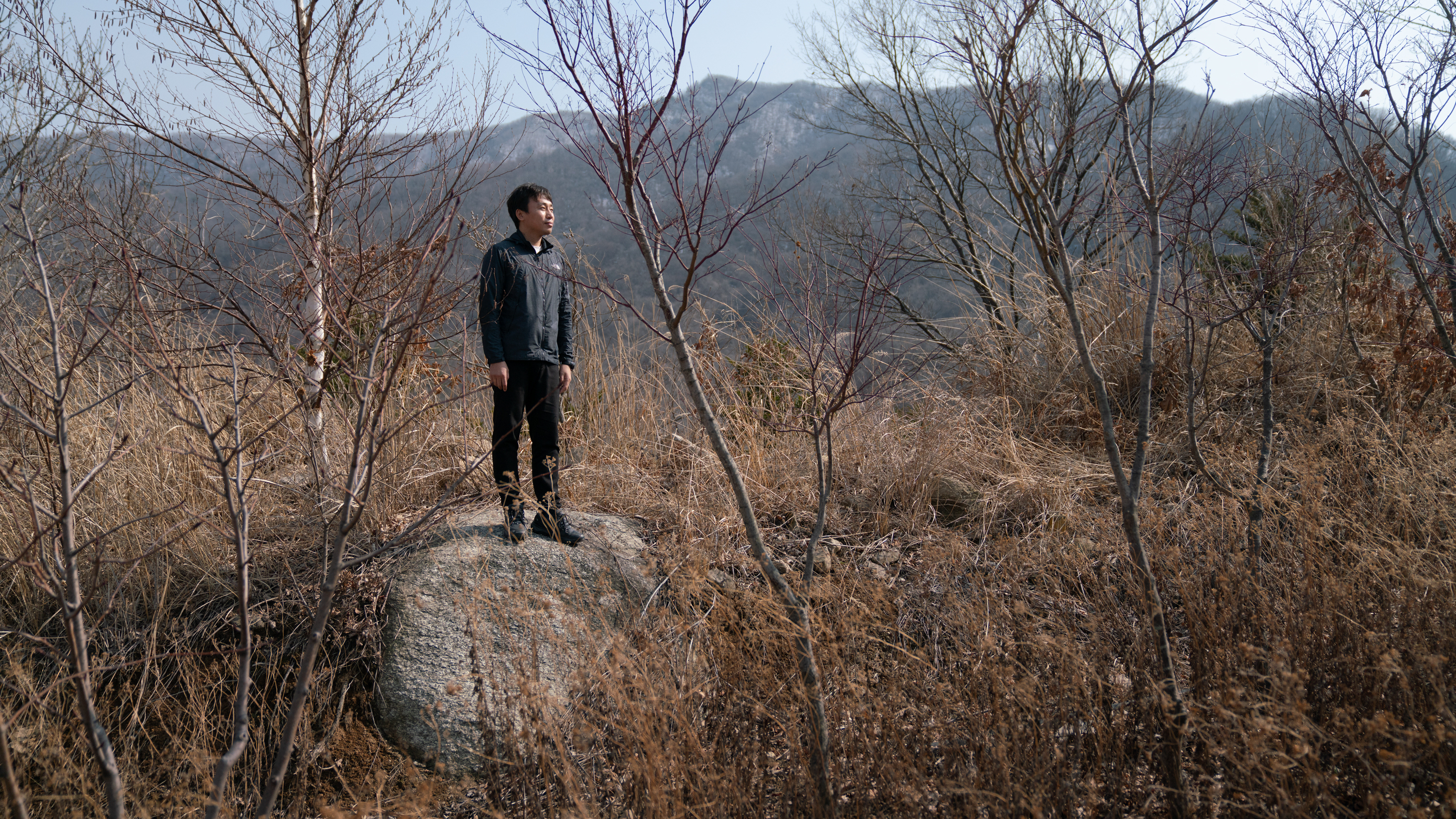 In Korean DMZ, Wildlife Thrives. Some Conservationists Worry Peace ...