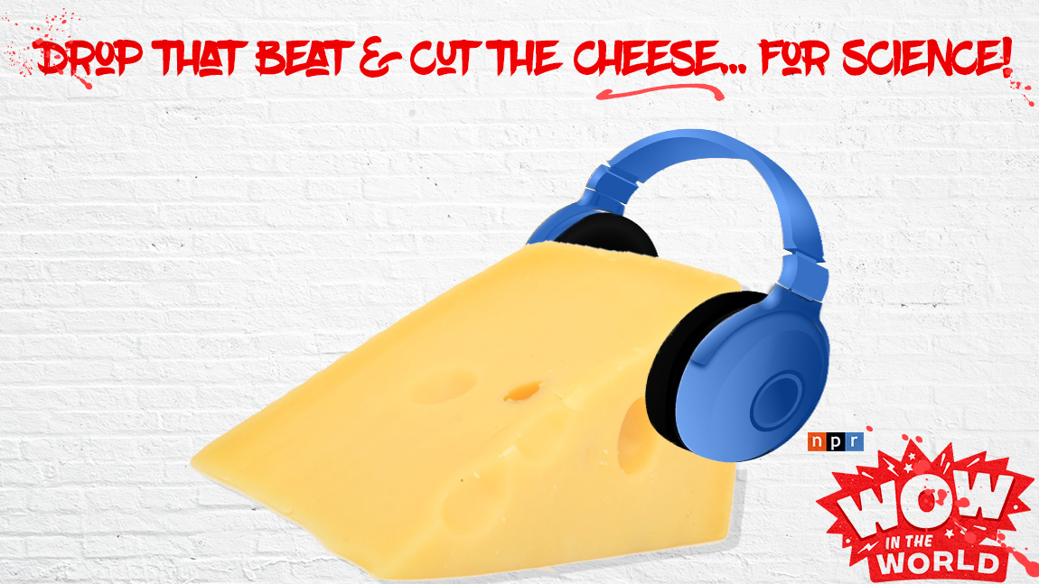 Drop That Beat and Cut The Cheese...For Science! : NPR