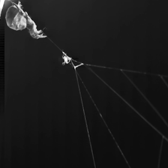 Slingshot web store
