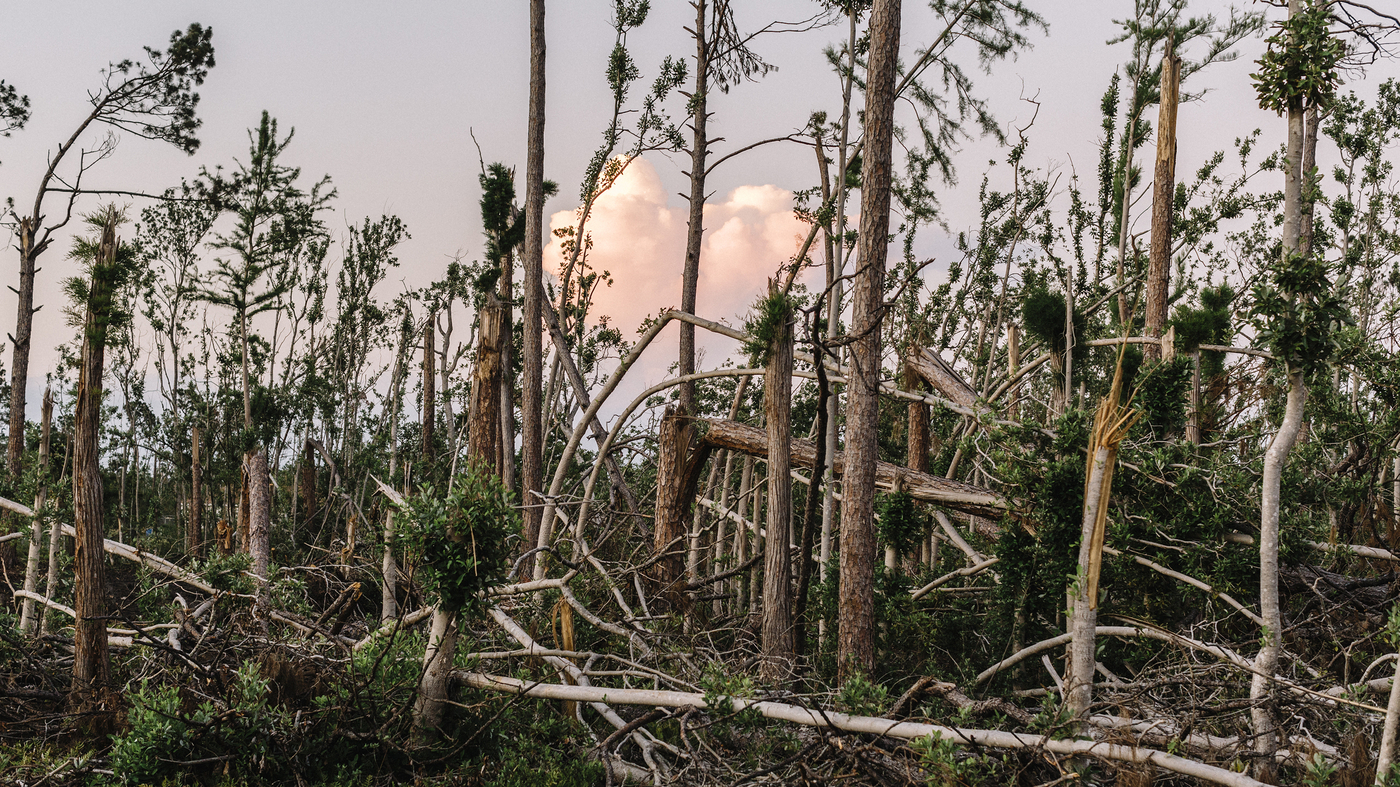 Hurricane Michael Recovery Still Has A Long Way To Go : NPR