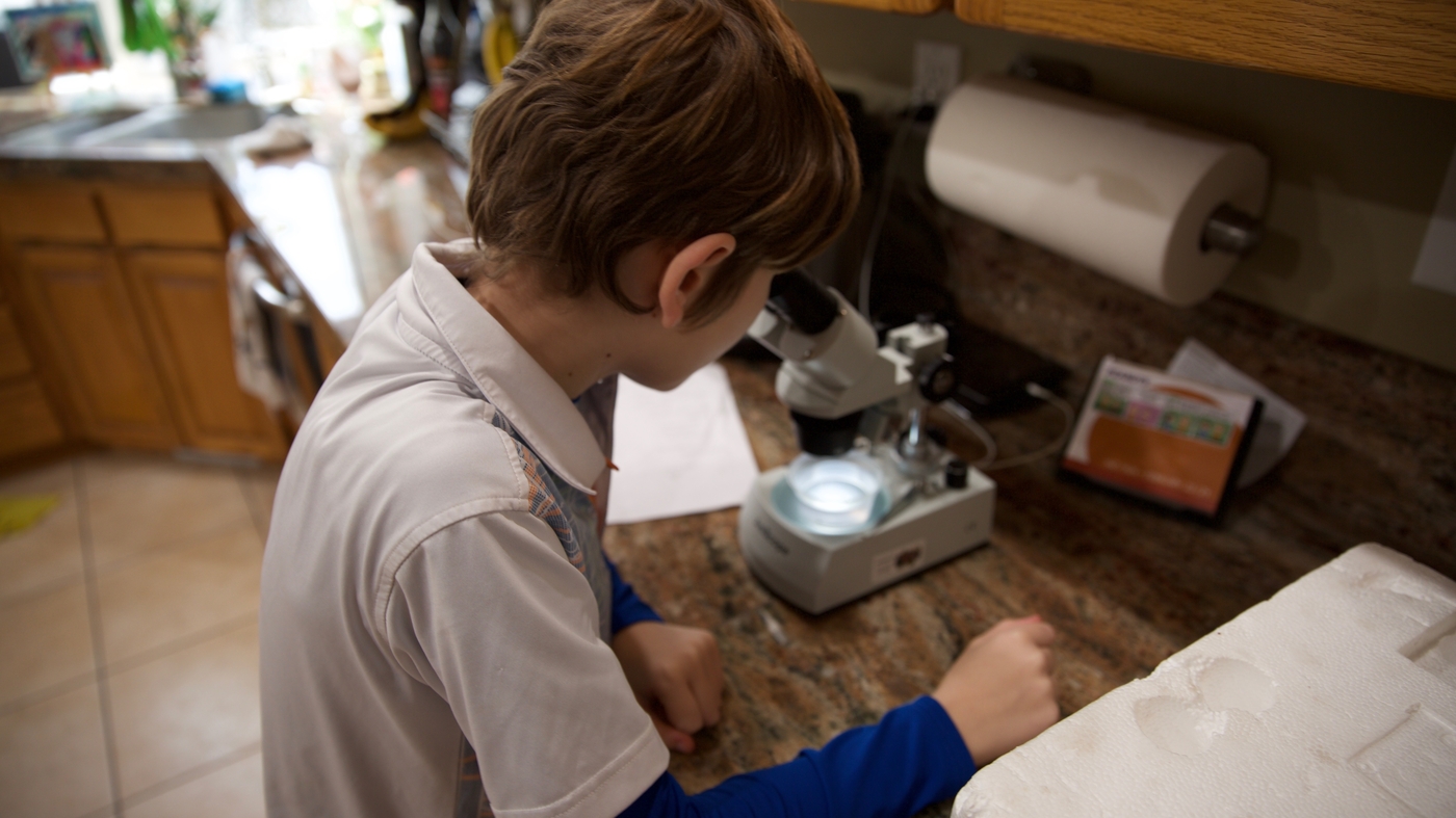 After Restraint And Seclusion, Students With Disabilities Pay An ...