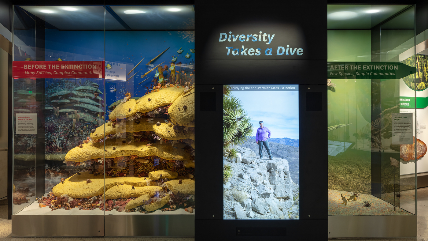 The 'Great Dying' Nearly Erased Life On Earth. Scientists See ...