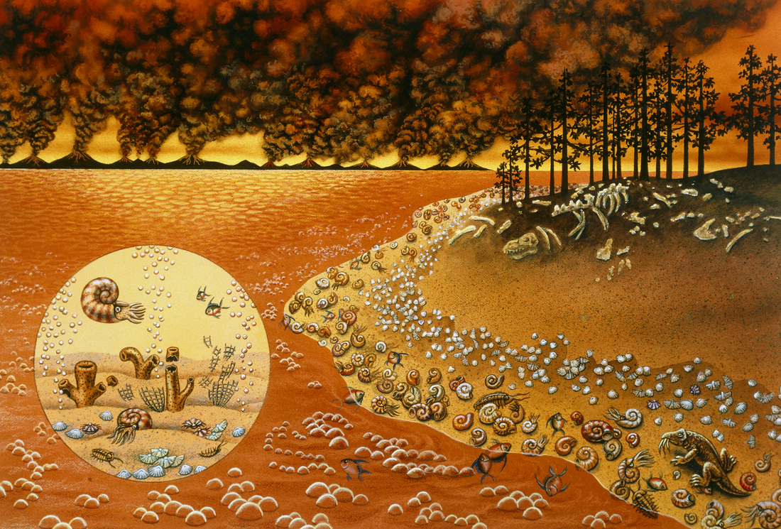 The 'Great Dying' Nearly Erased Life On Earth. Scientists See ...