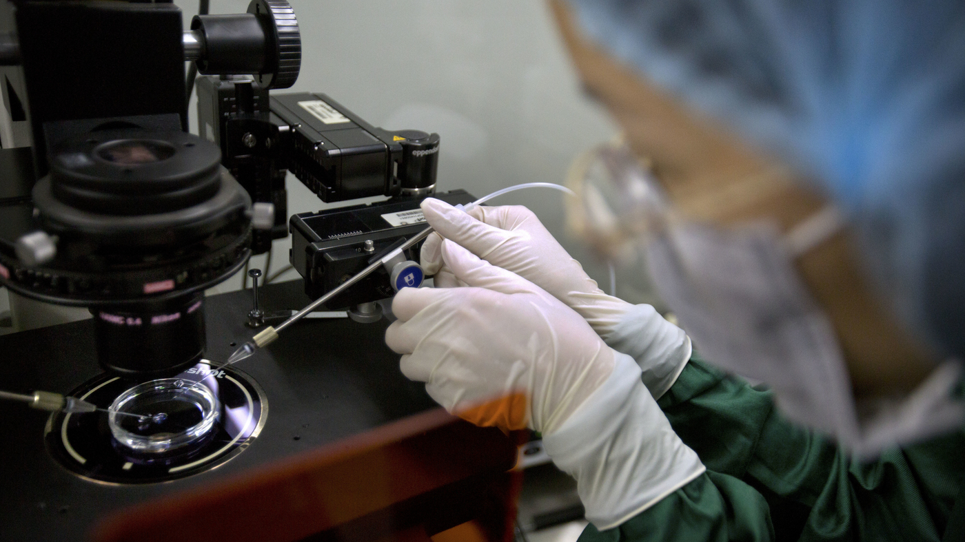 Ban On Genetically Modified Babies Upheld By Congressional Committee ...