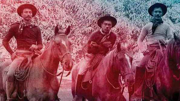 Book Review: 'Aloha Rodeo' Offers Alternative To The Cowboy Cliché : NPR