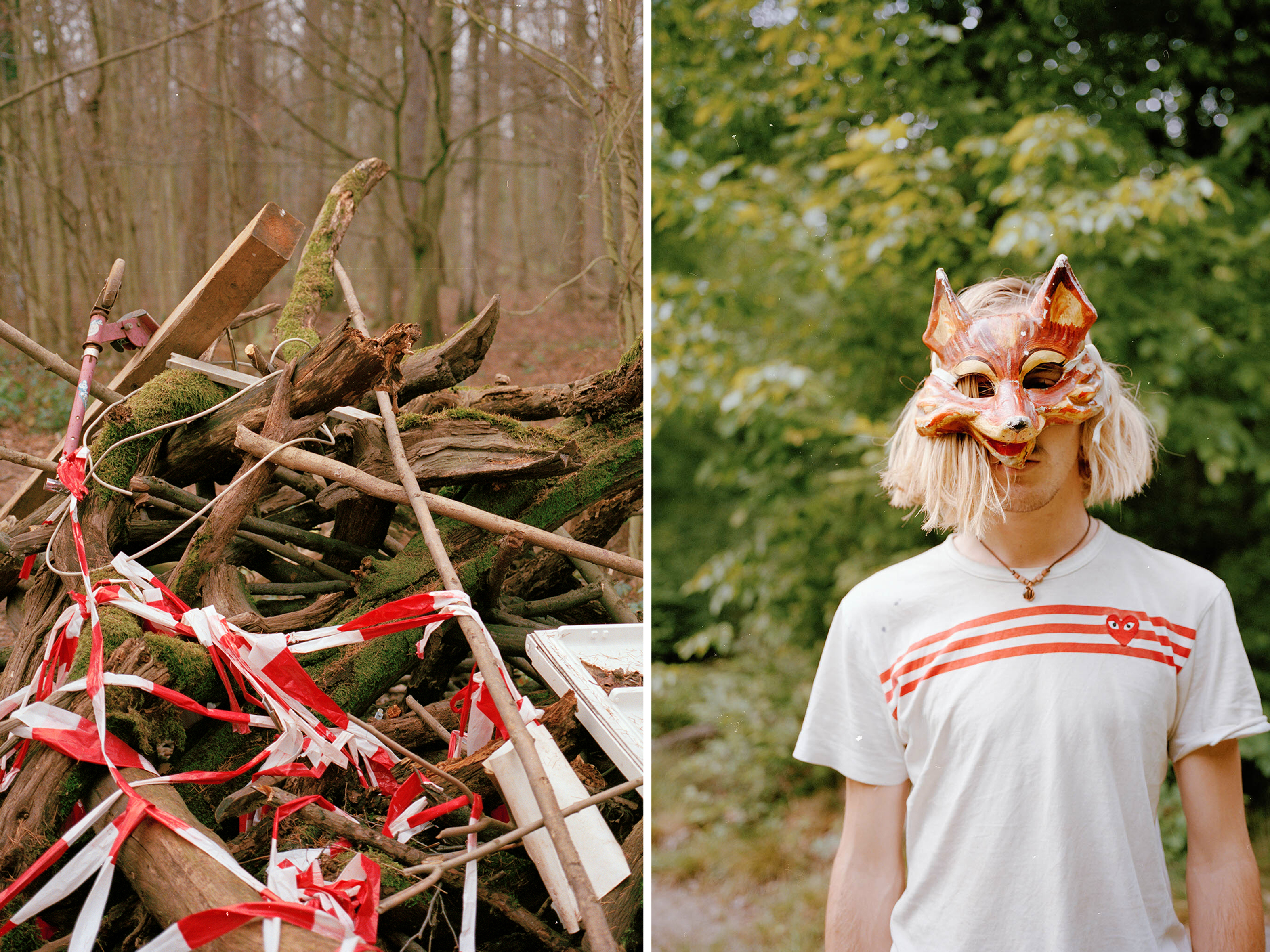 Activists Occupy An Ancient Forest In Germany To Save It | NCPR News