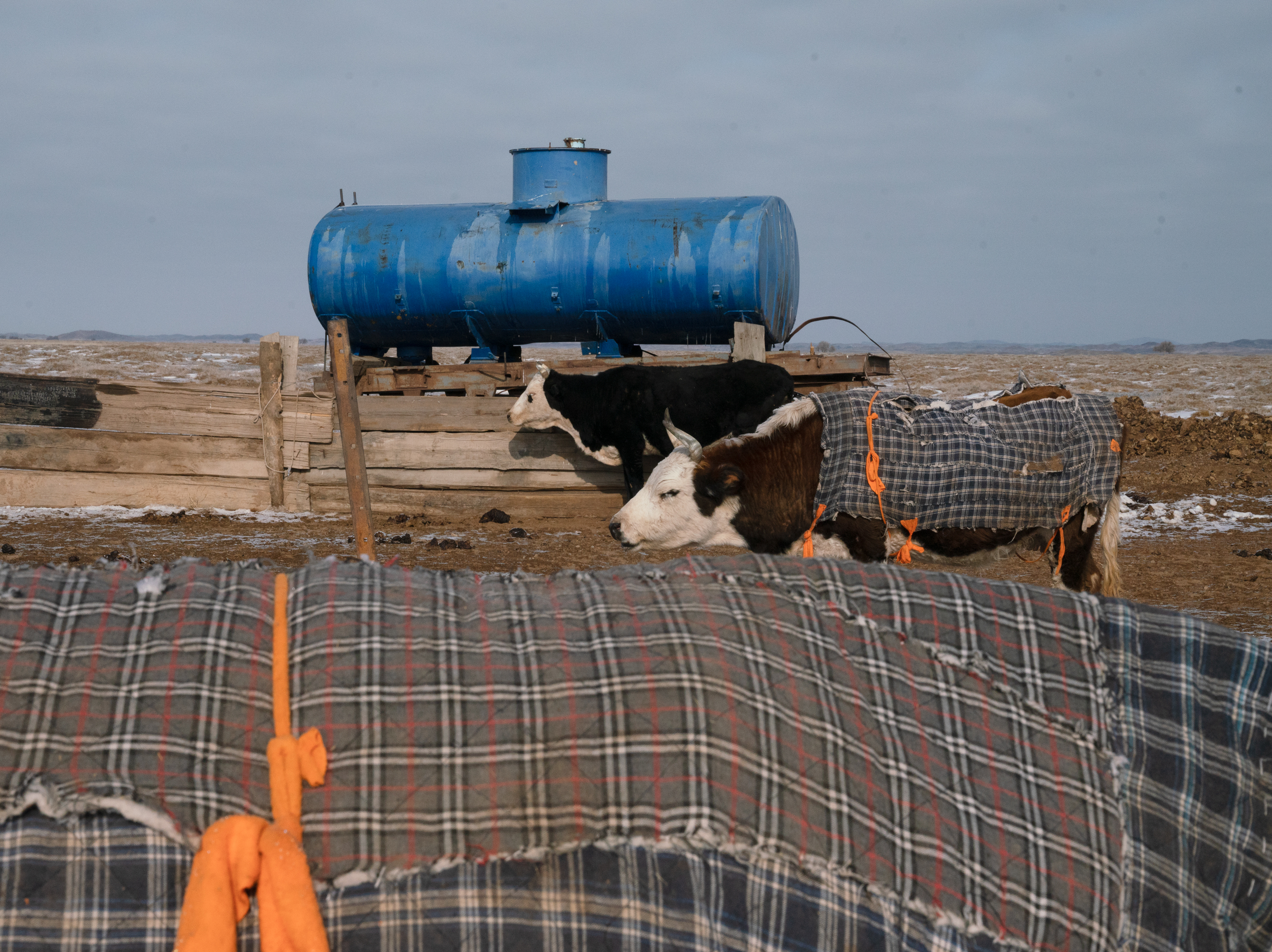 Mongolia's Long Road To Mining Wealth | NCPR News