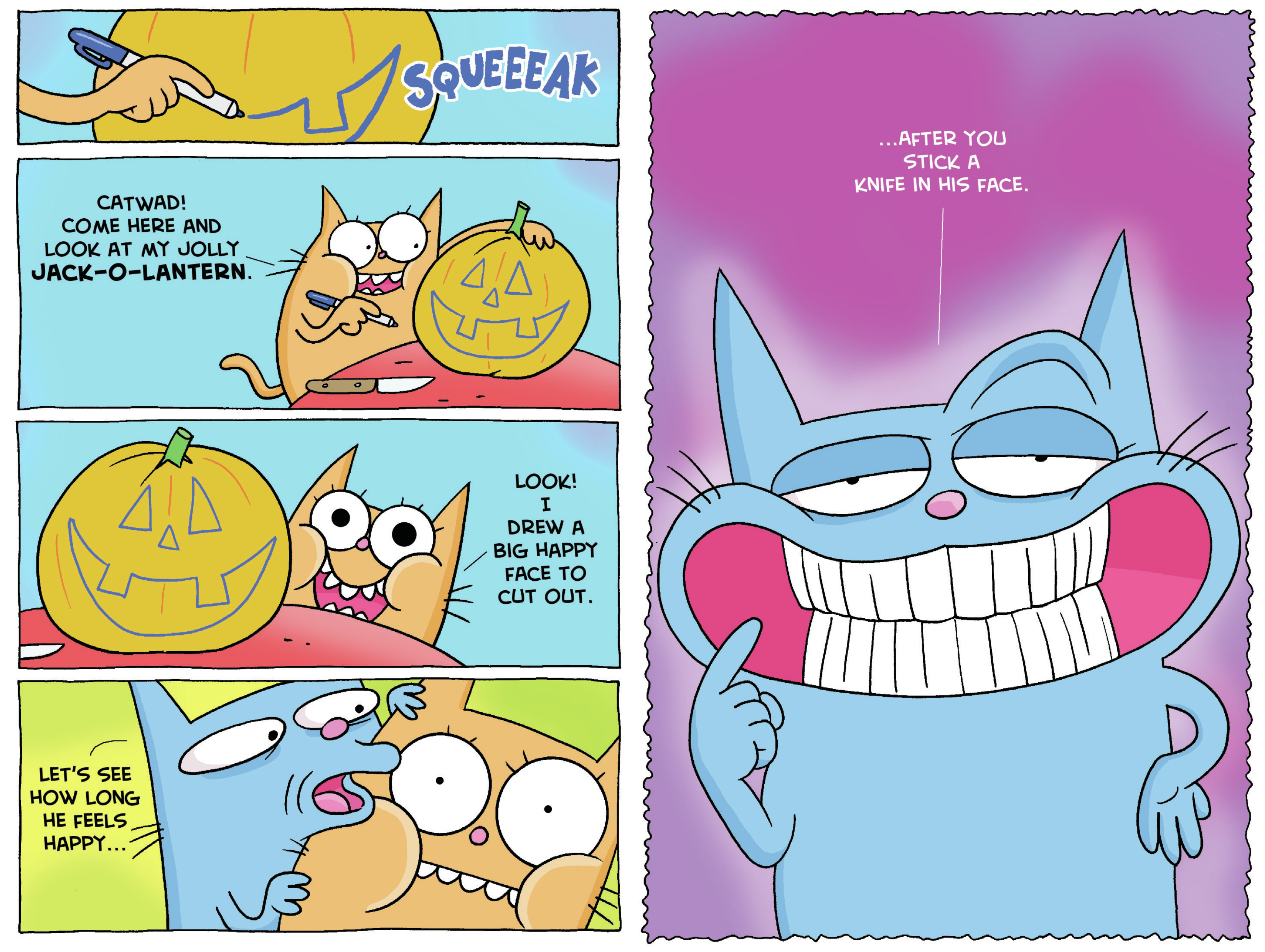 Why Grouchy, Rude 'Catwad' Is Catnip To Kids | NCPR News