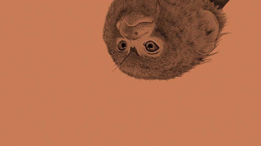 NPR Review: 'Mitz,' By Sigrid Nunez : NPR