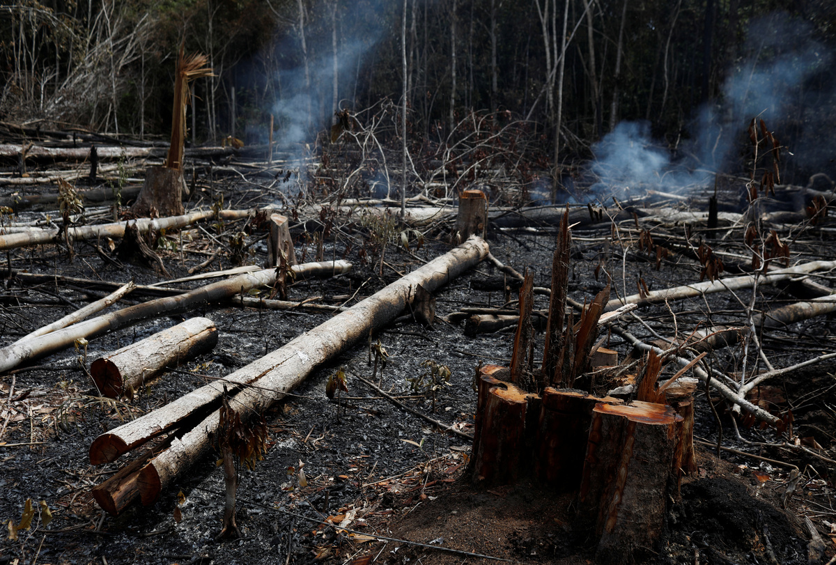 PHOTOS: Amazon Rainforests On Fire In Brazil : The Picture Show : NPR