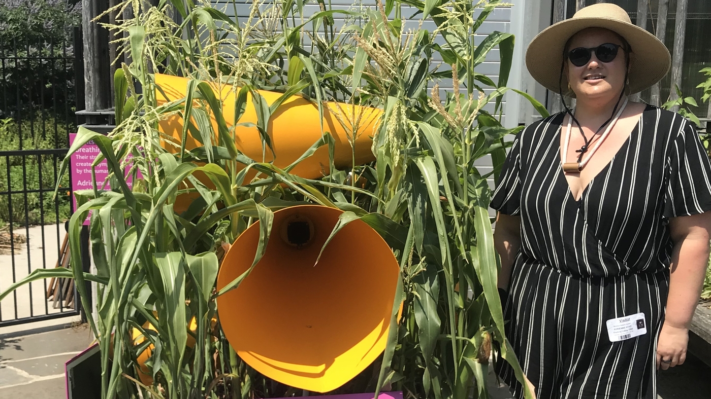 Shhhhh. Listen Closely. Your Plants Might Be Talking : NPR