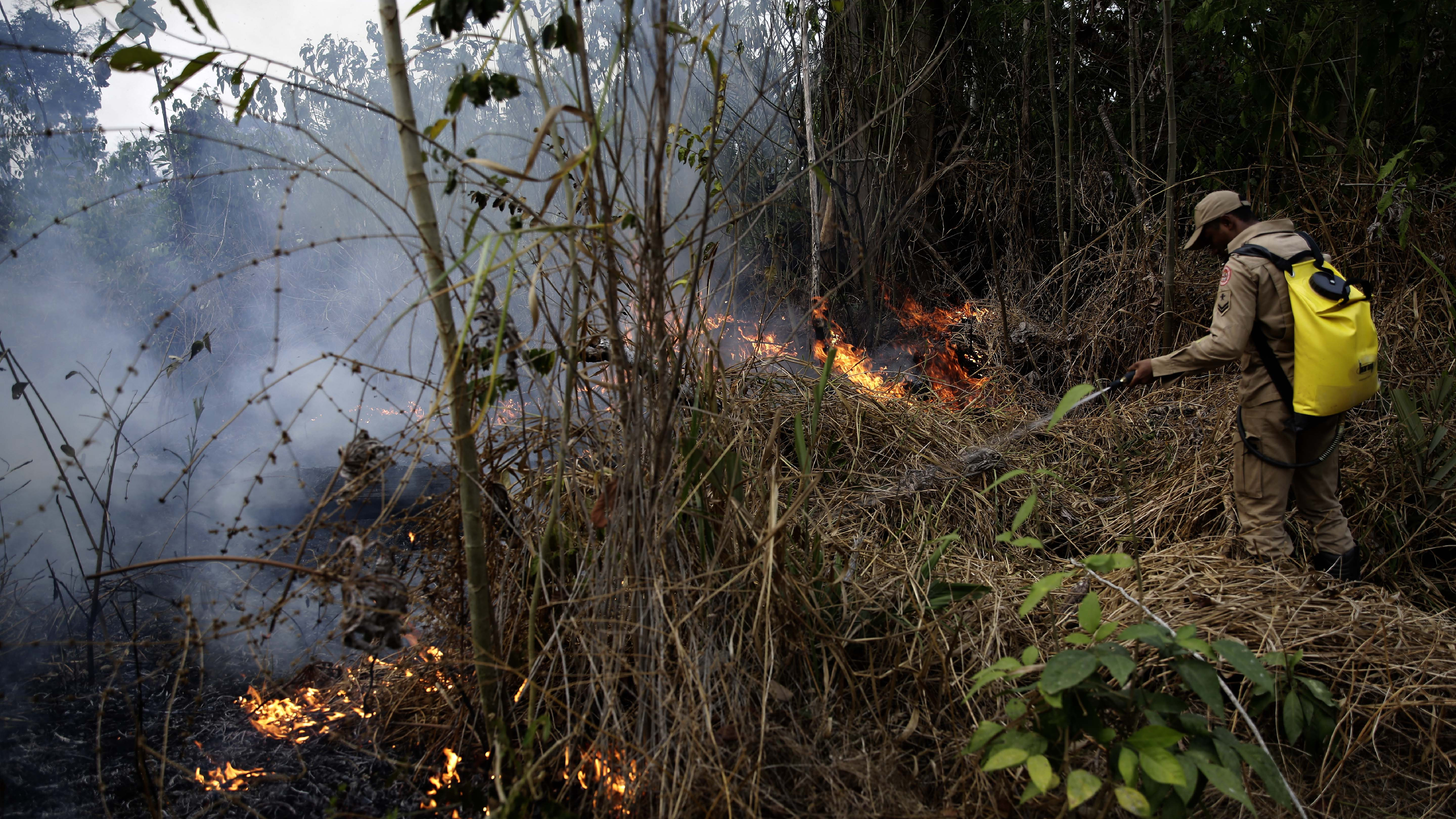 Brazil Rejects G-7's Offer Of $22 Million To Fight Amazon Fires | NPR ...