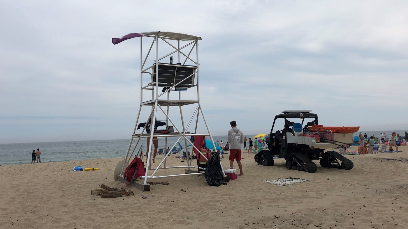 Sand, Sunscreen And ... Sharks! Cape Cod Beach Towns Do More To Keep ...