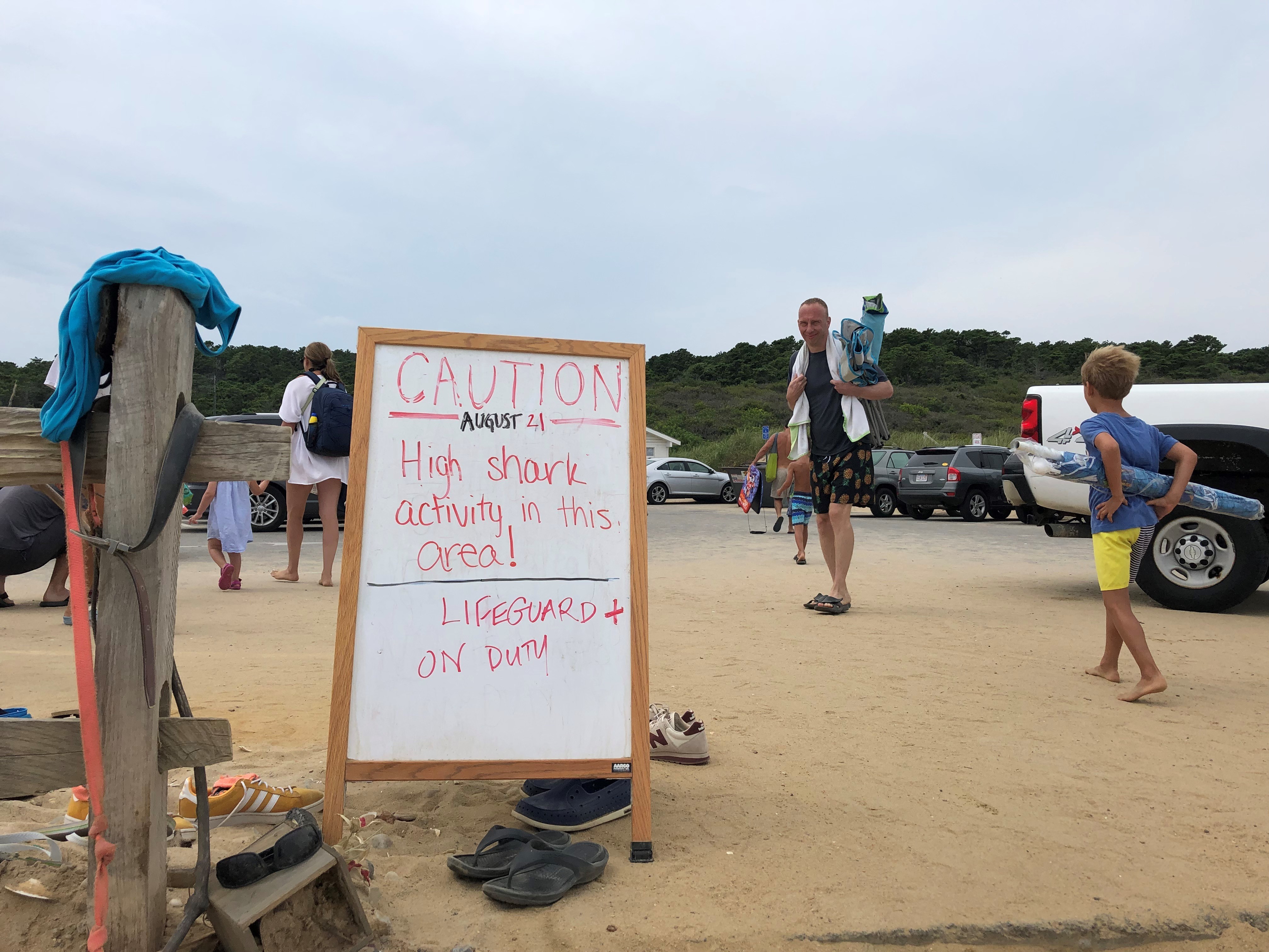 Sand, Sunscreen And ... Sharks! Cape Cod Beach Towns Do More To Keep ...