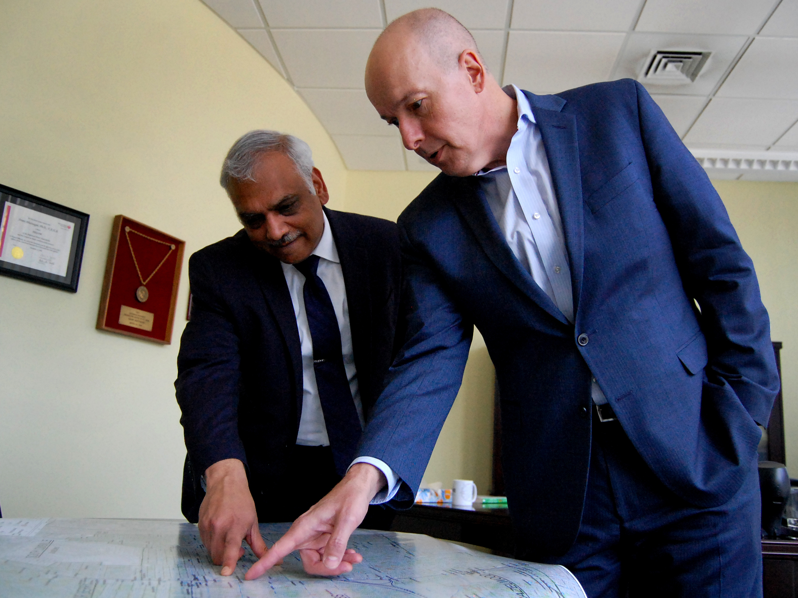 Trees Are Key To Fighting Urban Heat — But Cities Keep Losing Them ...