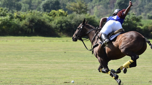 Windsor Johnston : NPR