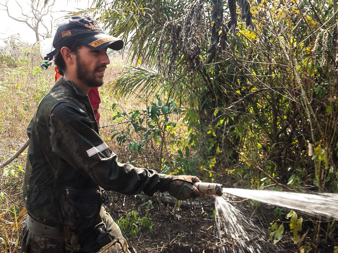 Wildfires Are Burning Bolivia's Forests At Nearly Same Scale As Brazil ...