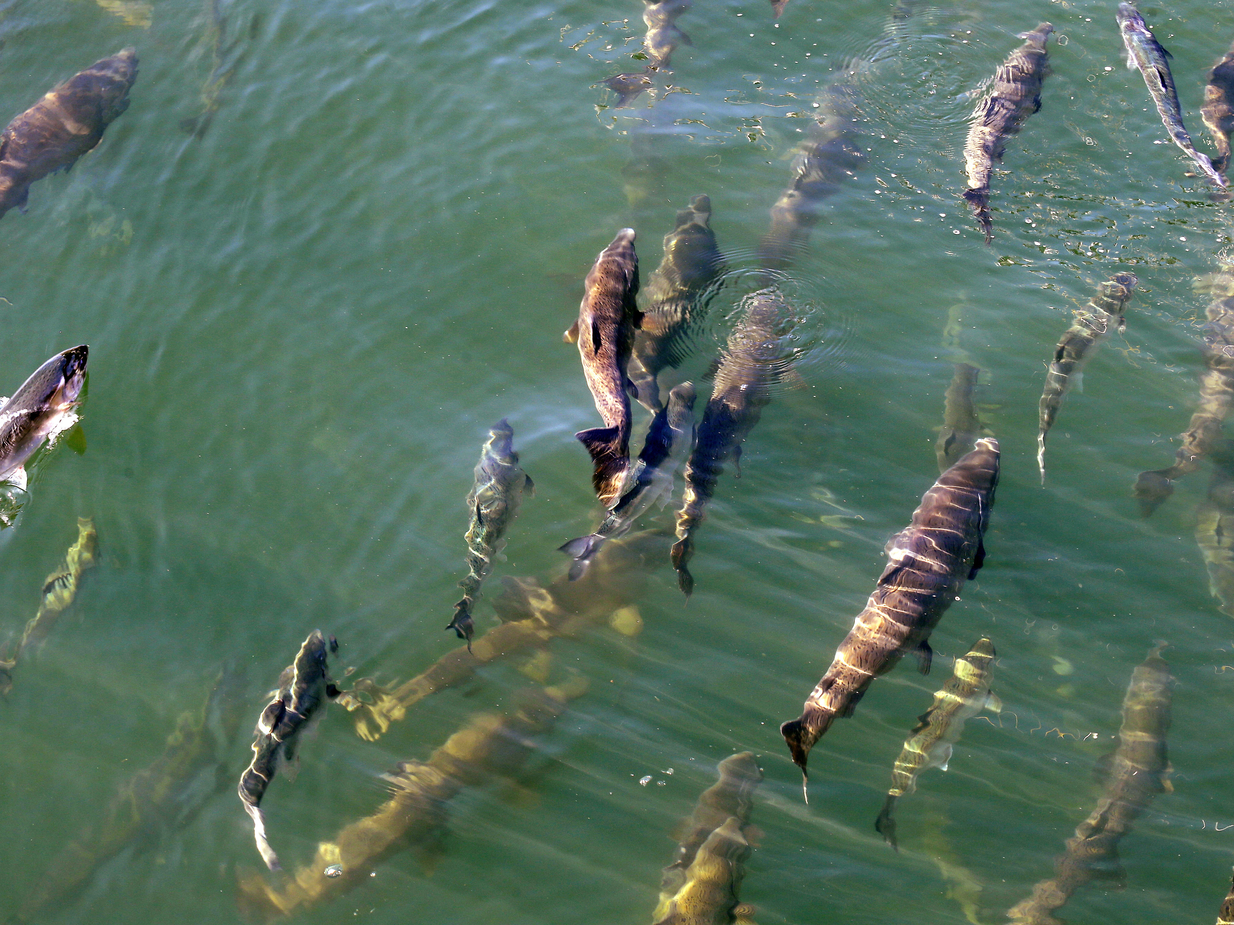 Earth's Oceans Are Getting Hotter And Higher, And It's Accelerating | WBUR