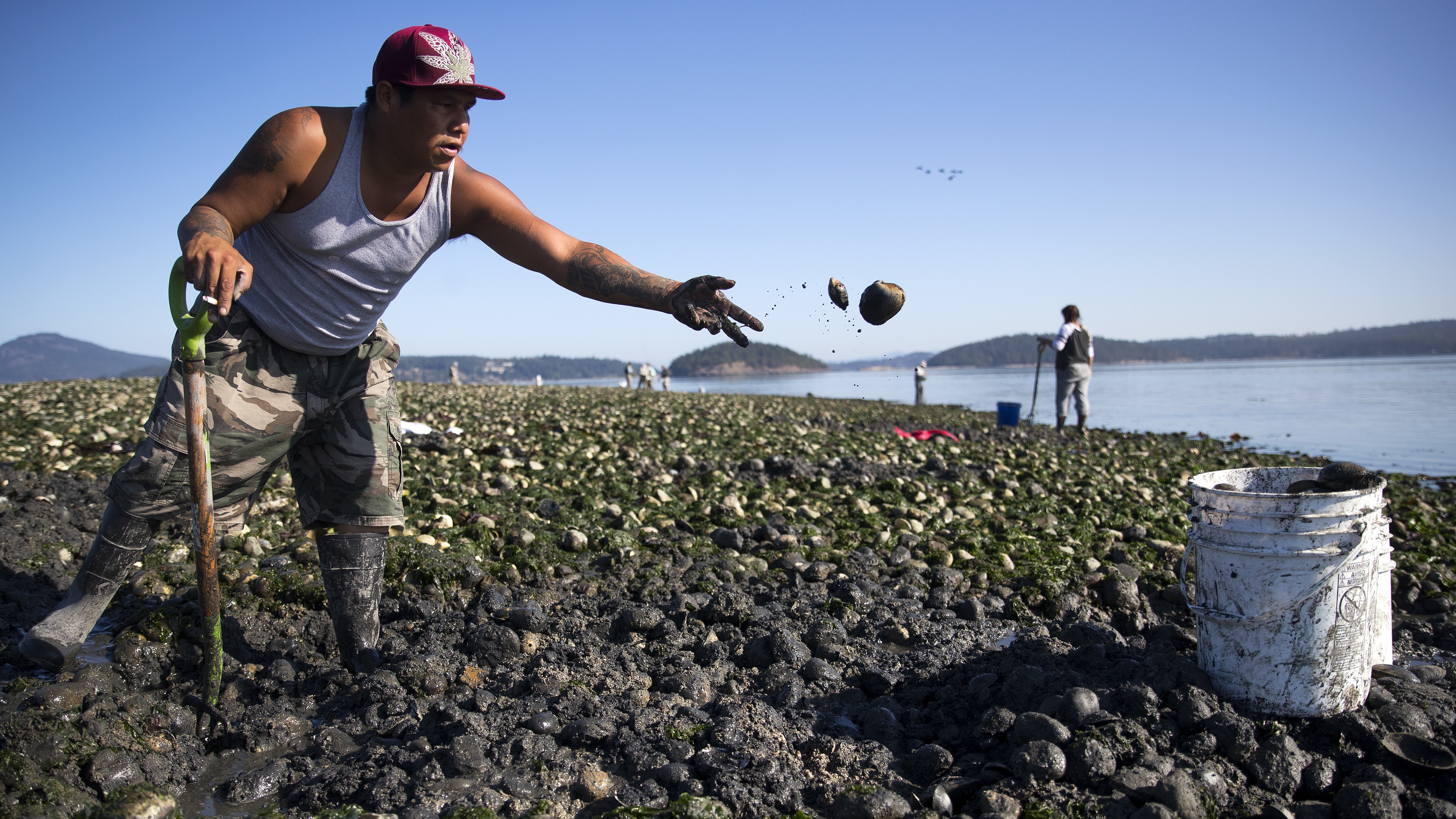 Pacific Northwest Tribes Face Climate Change With Agricultural Ancient ...