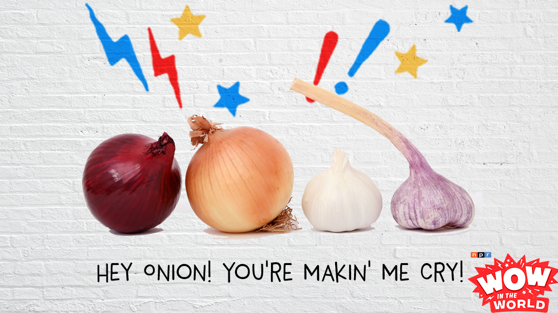 Hey Onion! You're Makin' Me Cry! : NPR