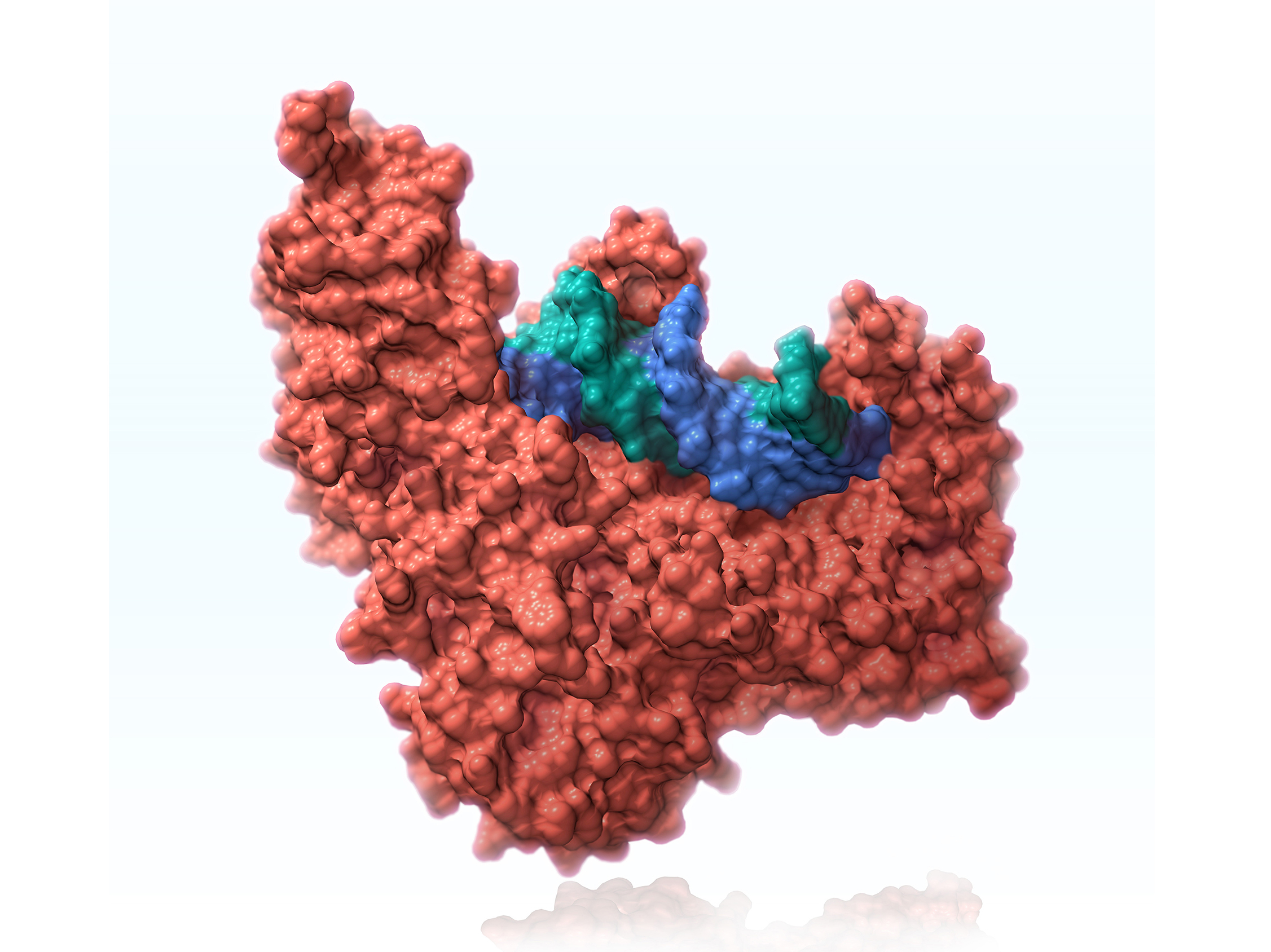 Scientists Create New, More Powerful Technique To Edit Genes | NPR ...