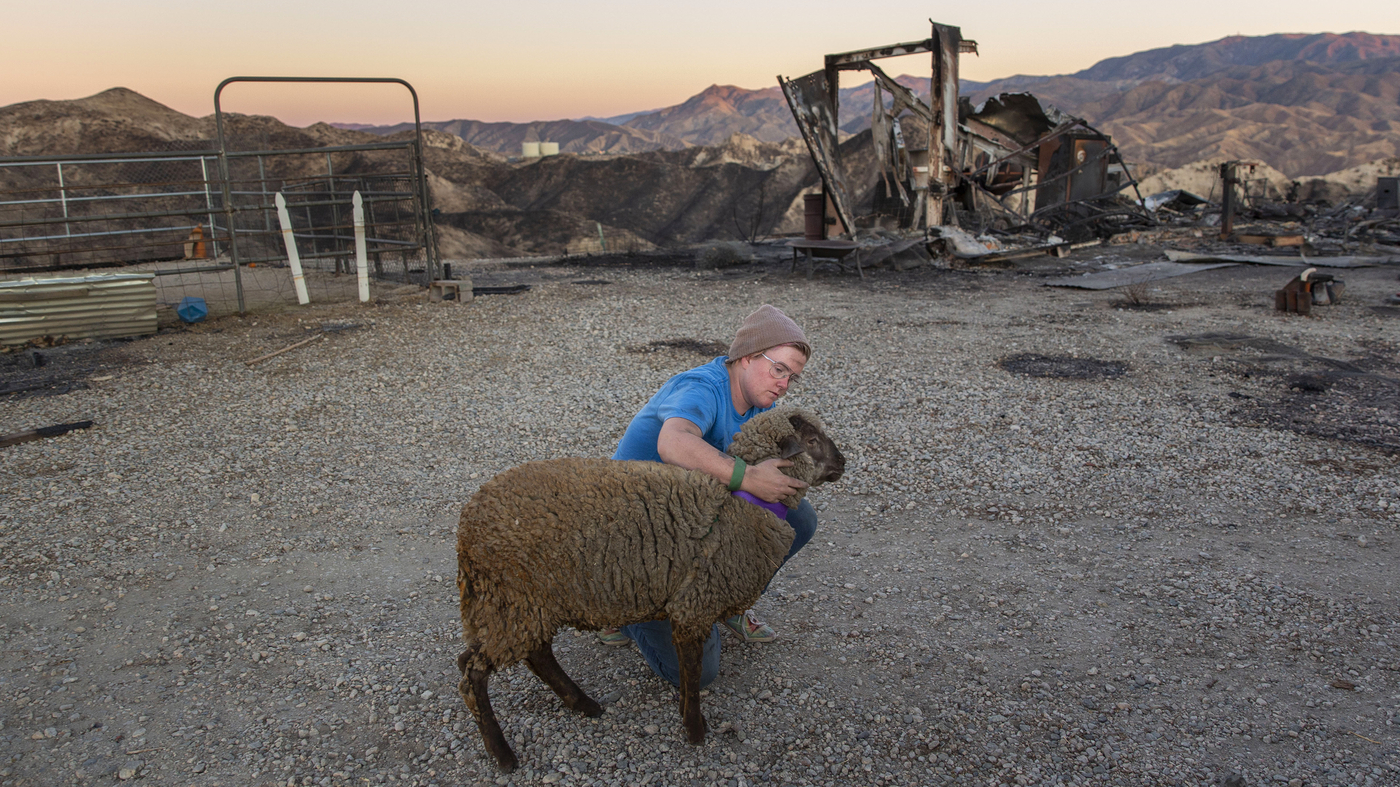 Southern California Tick Fire Destroys Family Farm : NPR