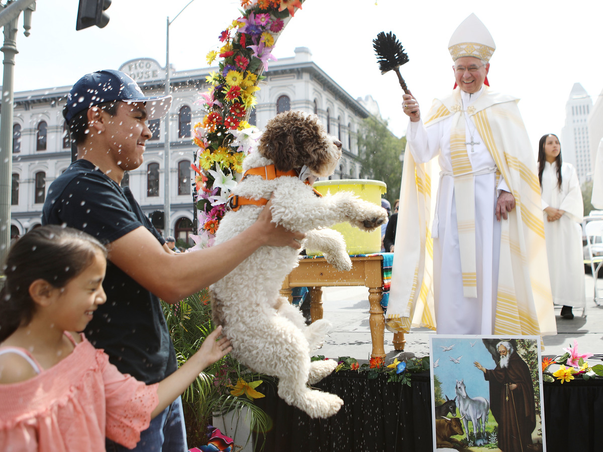 U.S. Catholic Bishops Elect Their First Latino President: Archbishop ...