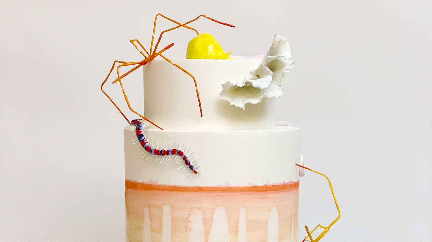 This Antarctic Research Takes The Cake — Or At Least The Shape Of One ...