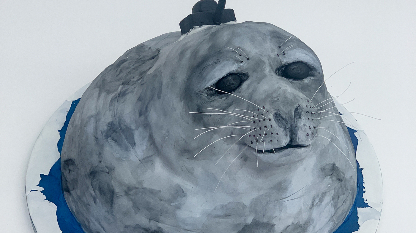 This Antarctic Research Takes The Cake — Or At Least The Shape Of One ...
