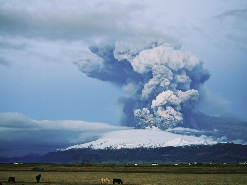 A Year Of Wonders : Throughline : NPR