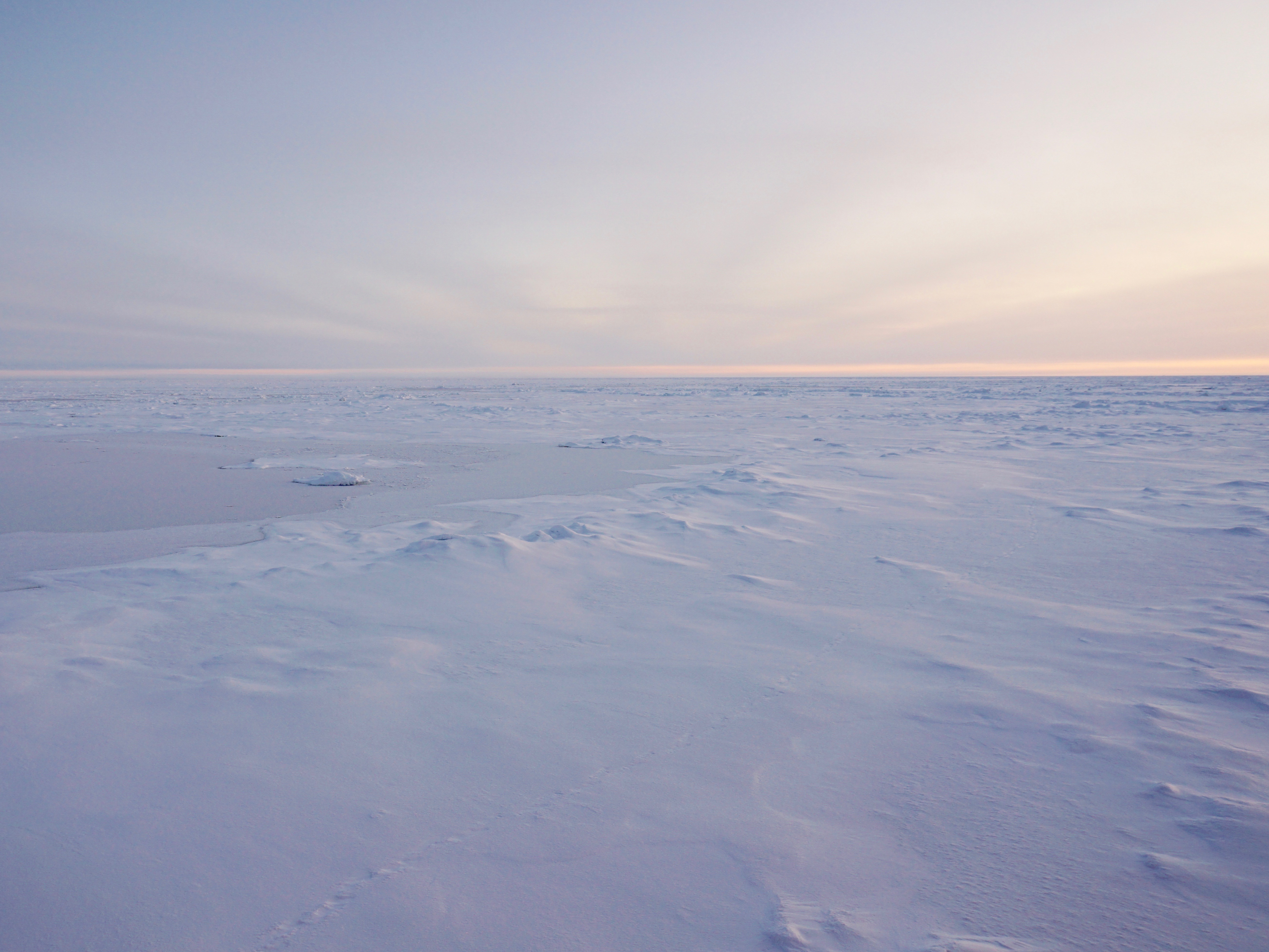 Young Researchers Feel Excitement And Sadness To See Arctic Ice That ...