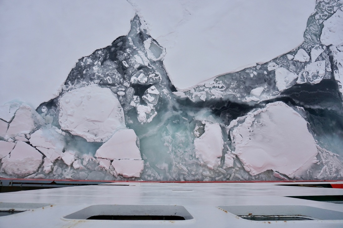 Young Scientists Study Arctic Ice That May Disappear : NPR