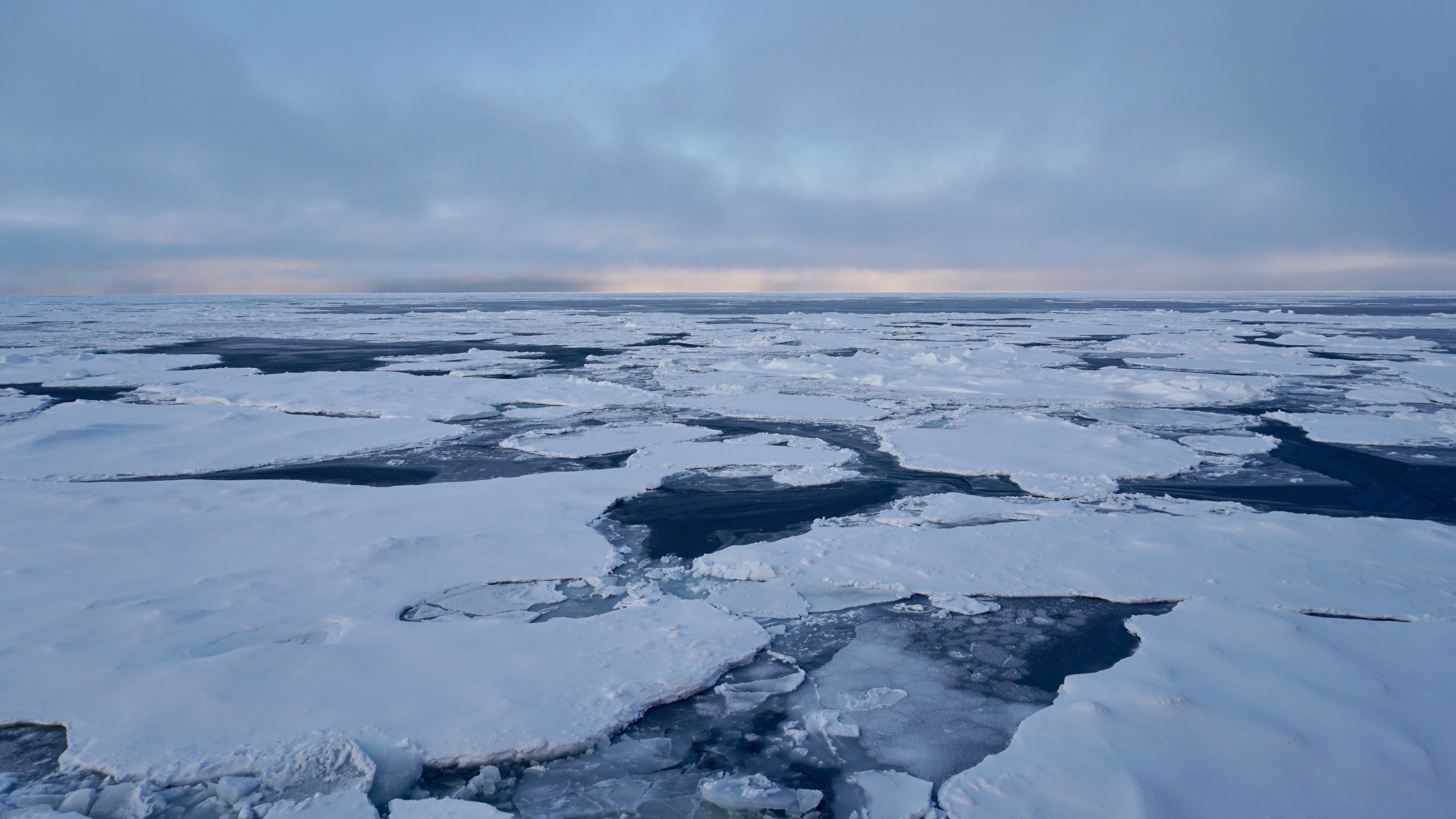 Young Scientists Study Arctic Ice That May Disappear : NPR