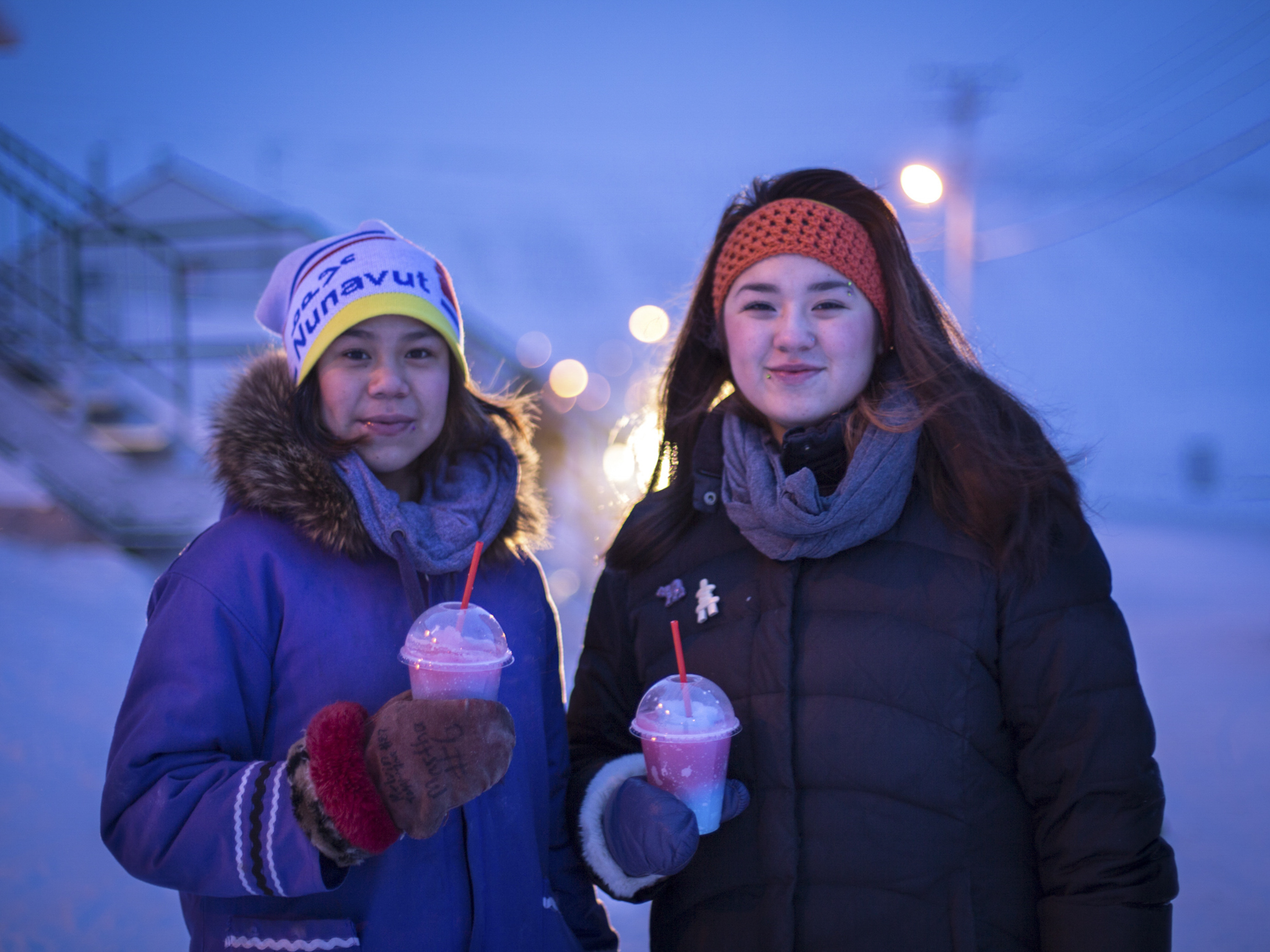 Inuit Food Sources
