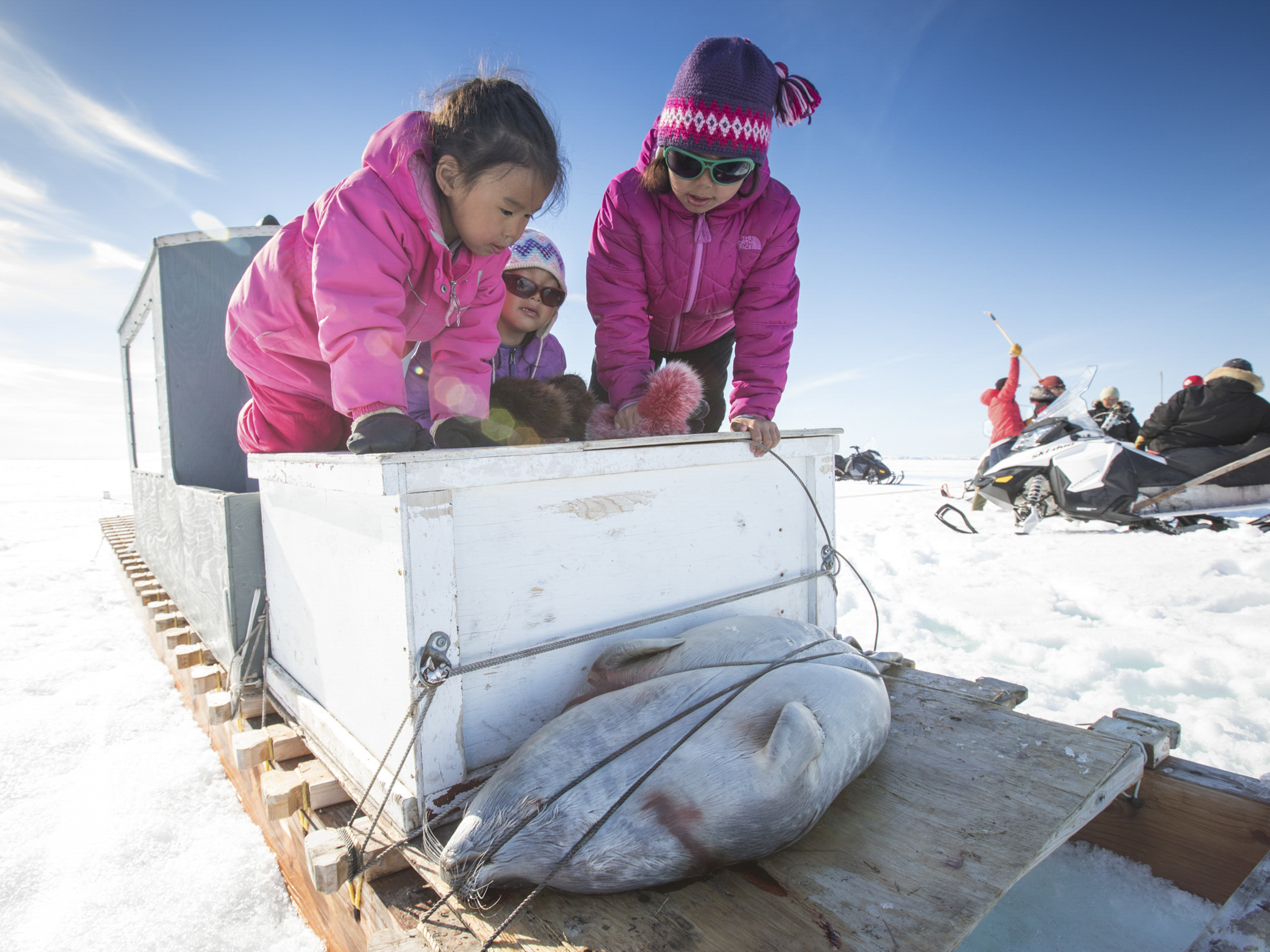 PHOTOS: How Families Eat In The Arctic: From An $18 Box Of Cookies To ...