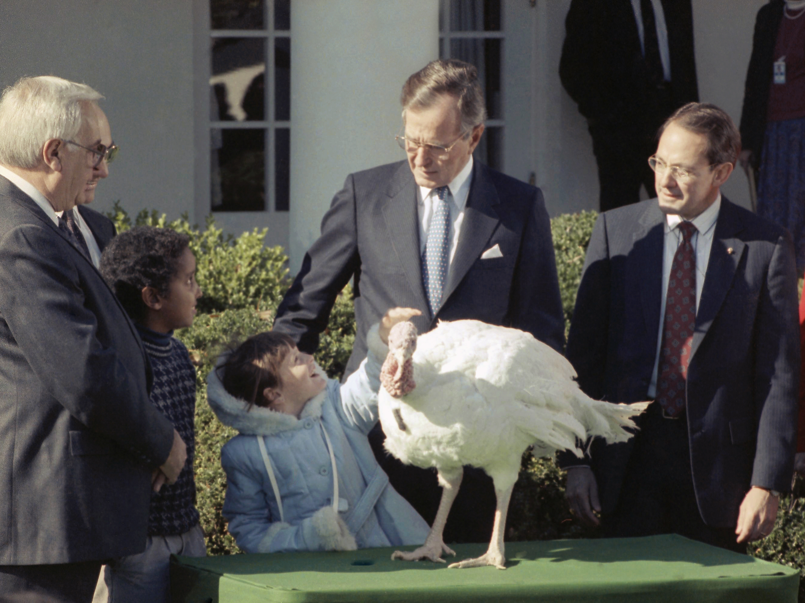 Biden pardoned the Thanksgiving turkeys. Read the strange truth behind ...