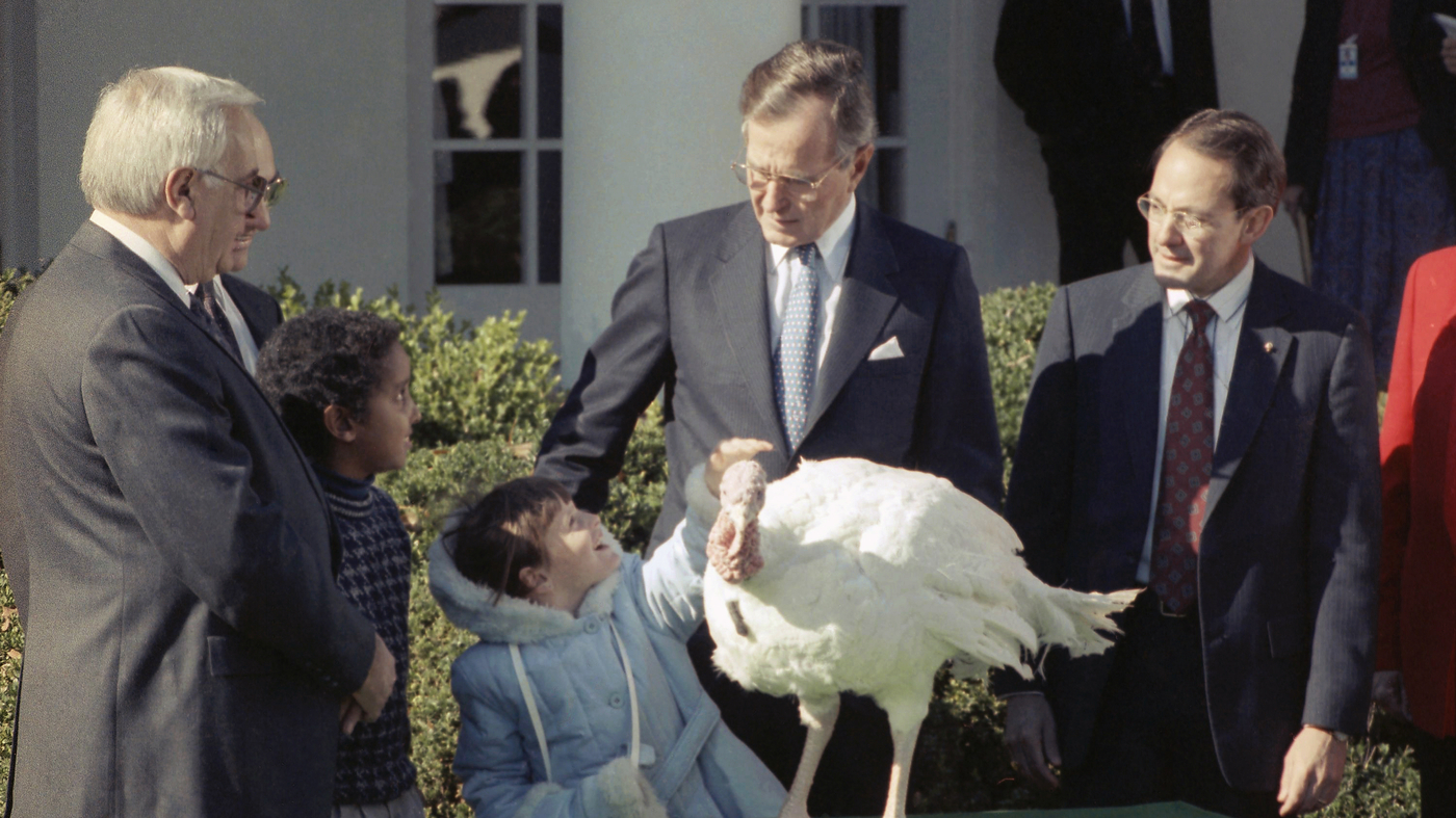 Explained: the strange truth behind the Thanksgiving turkey pardon ...