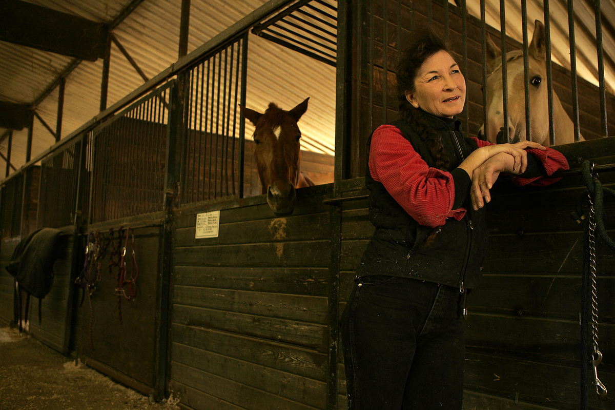 He Was A Horse That Never Won A Race. So Why Would Someone Steal Him? : NPR