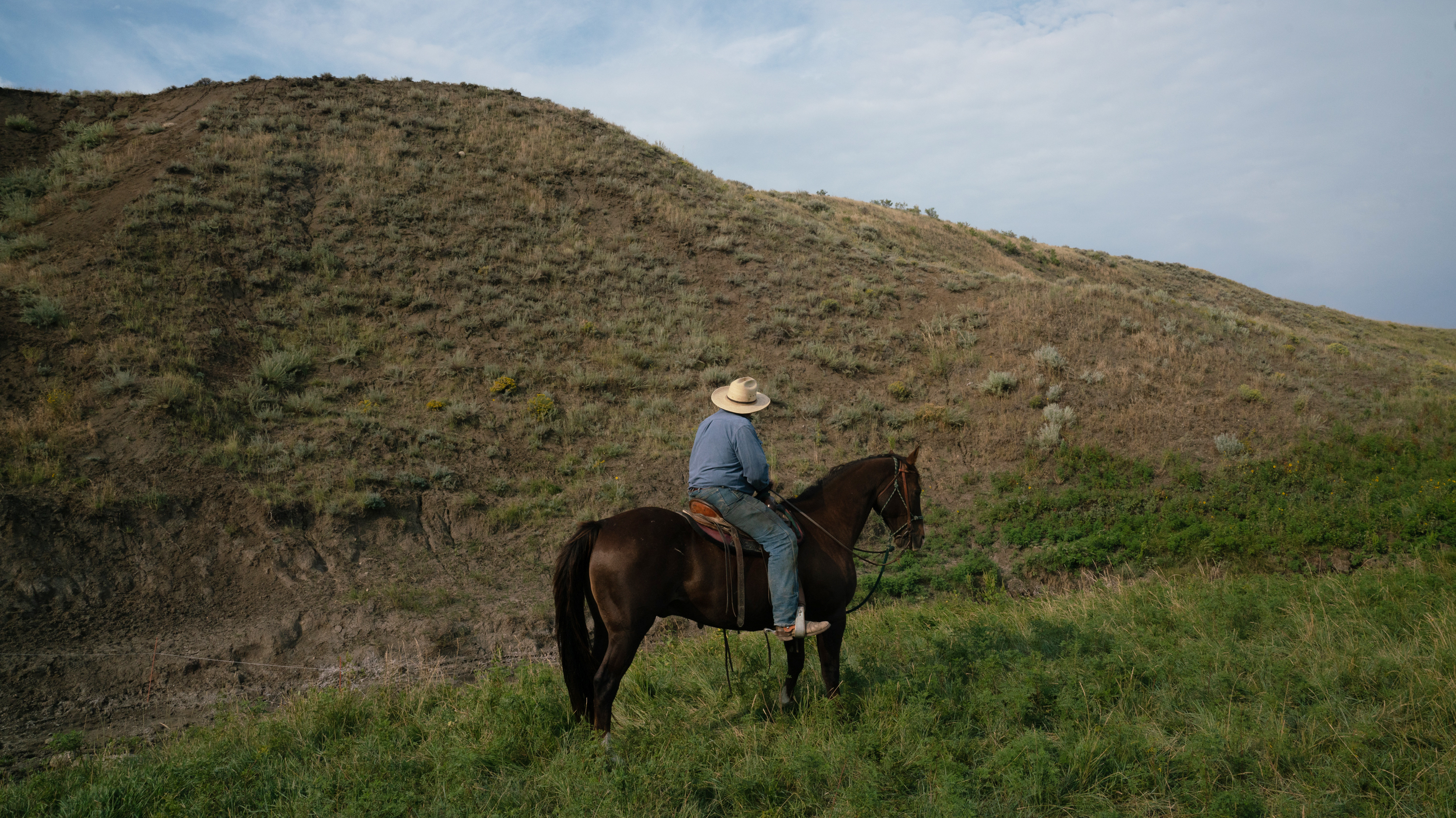 The American Prairie Reserve: Big Money Builds A New Kind Of National ...