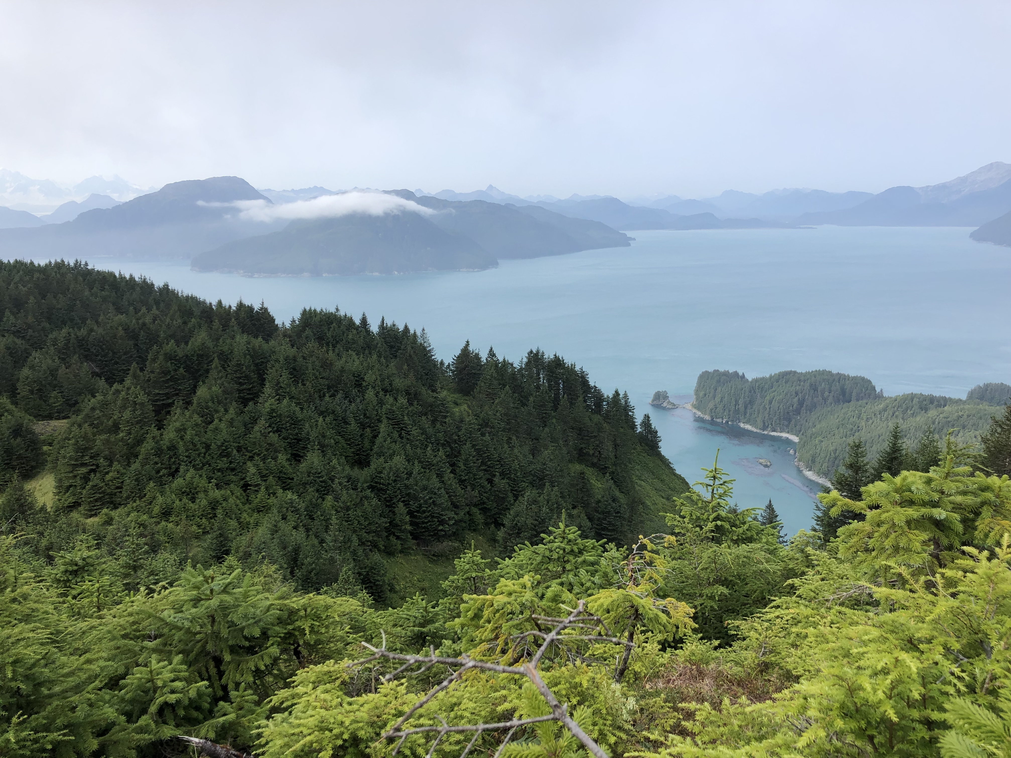 In Alaska's Wilderness, A New Vision Of Higher Learning | NCPR News