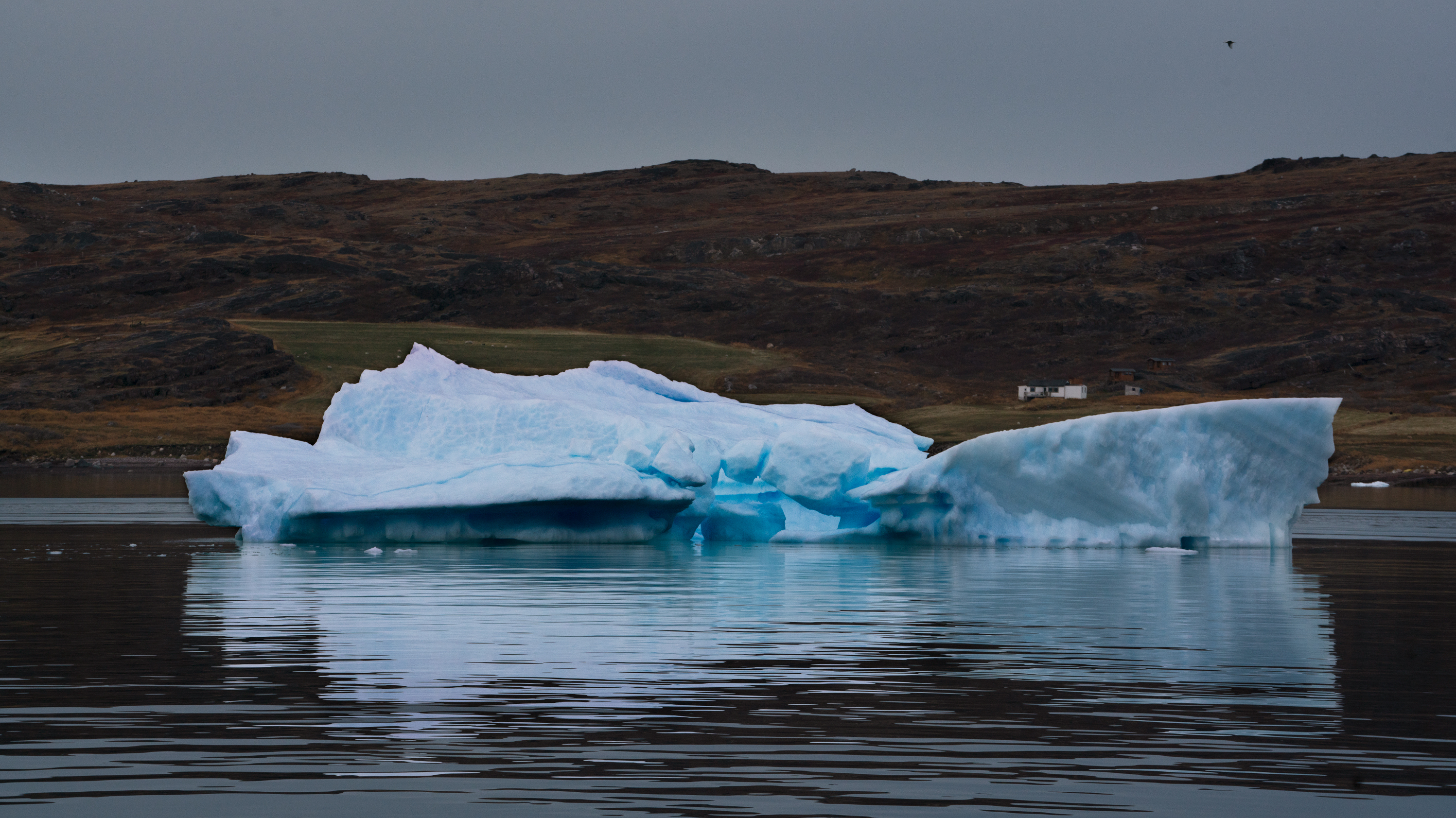 In A Warming Greenland, A Farming Family Adapts To Drought — And New ...