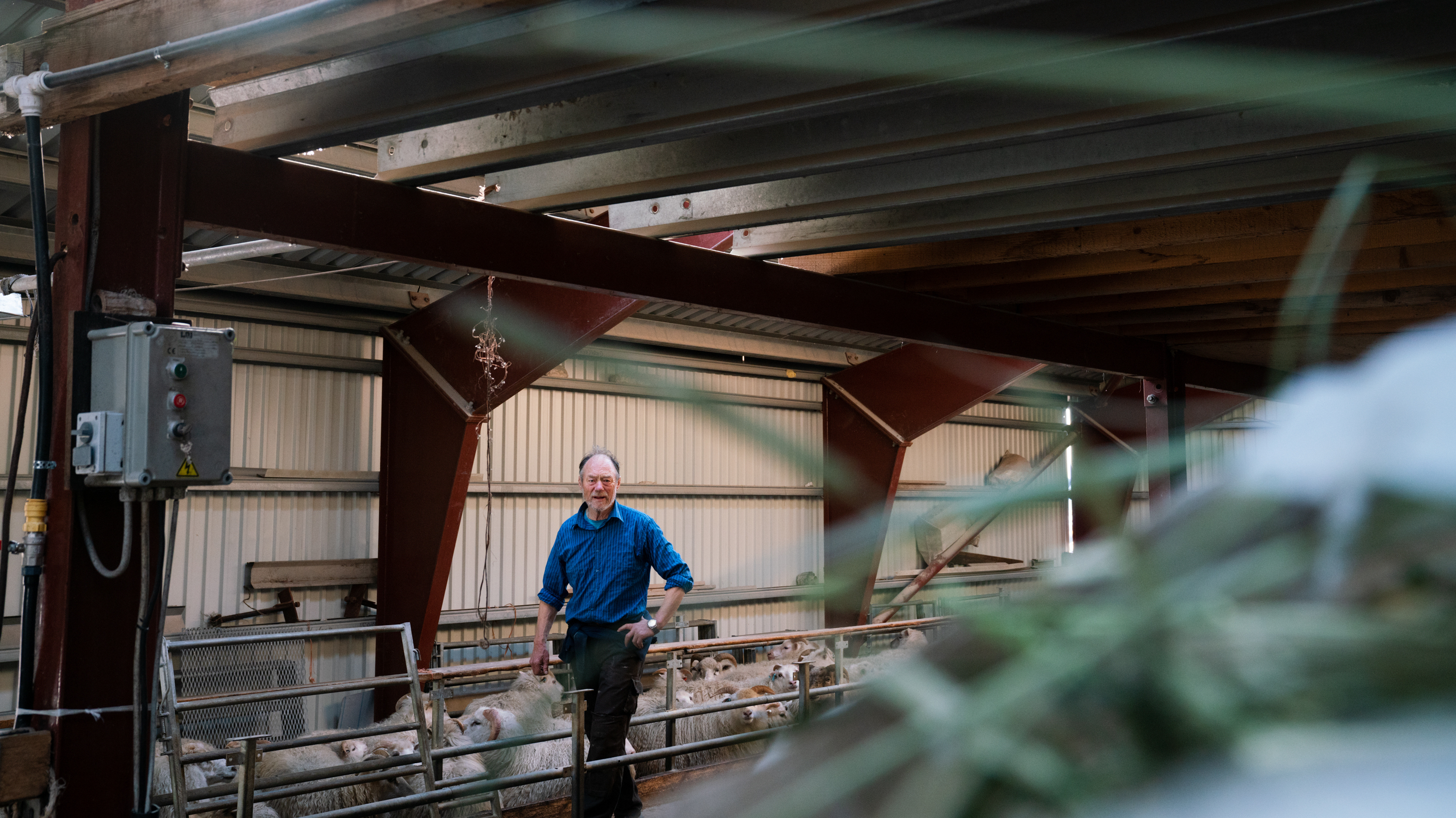 In A Warming Greenland, A Farming Family Adapts To Drought — And New ...