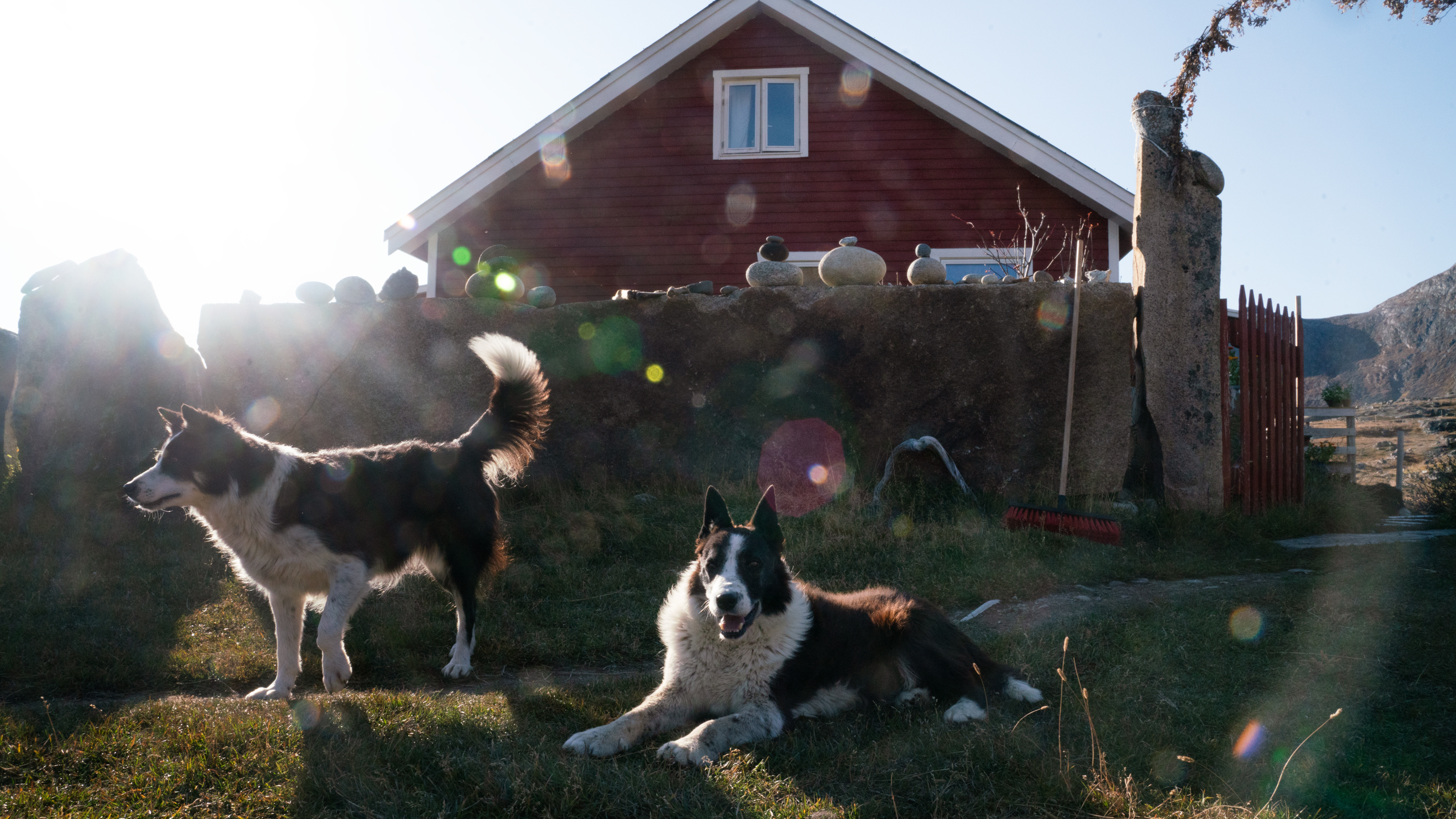 In A Warming Greenland, A Farming Family Adapts To Drought — And New ...