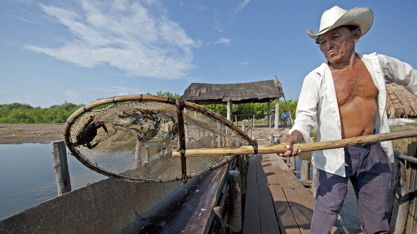 Fishing The Old-Fashioned Way Has Become A Tough Way To Make A Living ...
