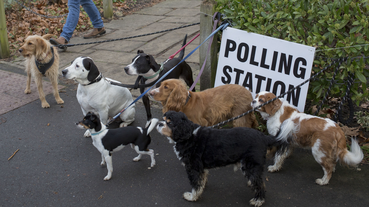 U.K. Holds A Pivotal General Election, And Voters Bring Their Dogs To ...