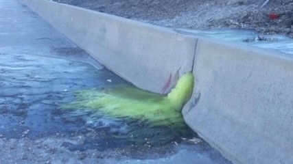 Officials Identify Mysterious Green Slime That Oozed Onto Michigan ...