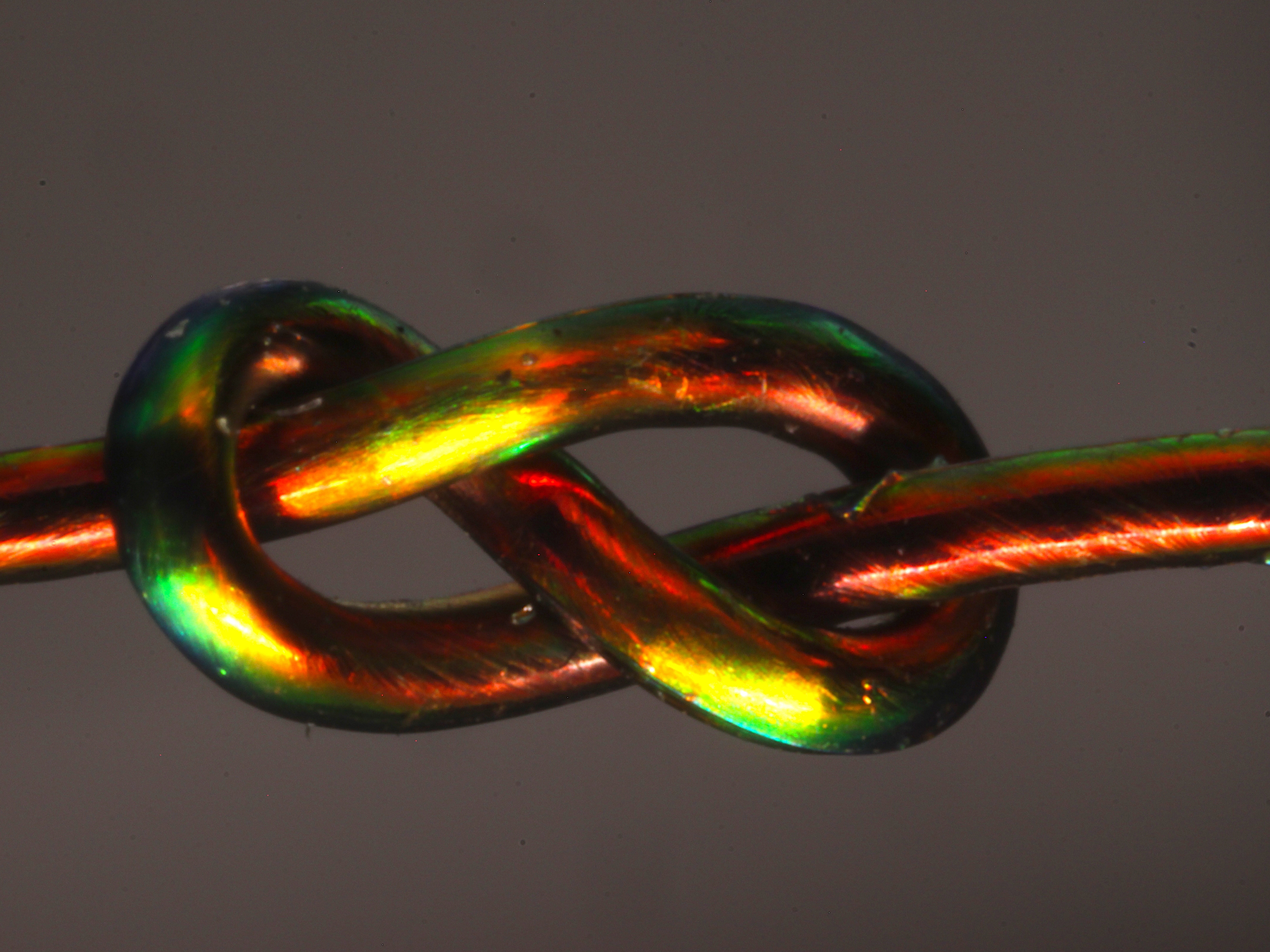 A Knotty Problem Solved - capradio.org